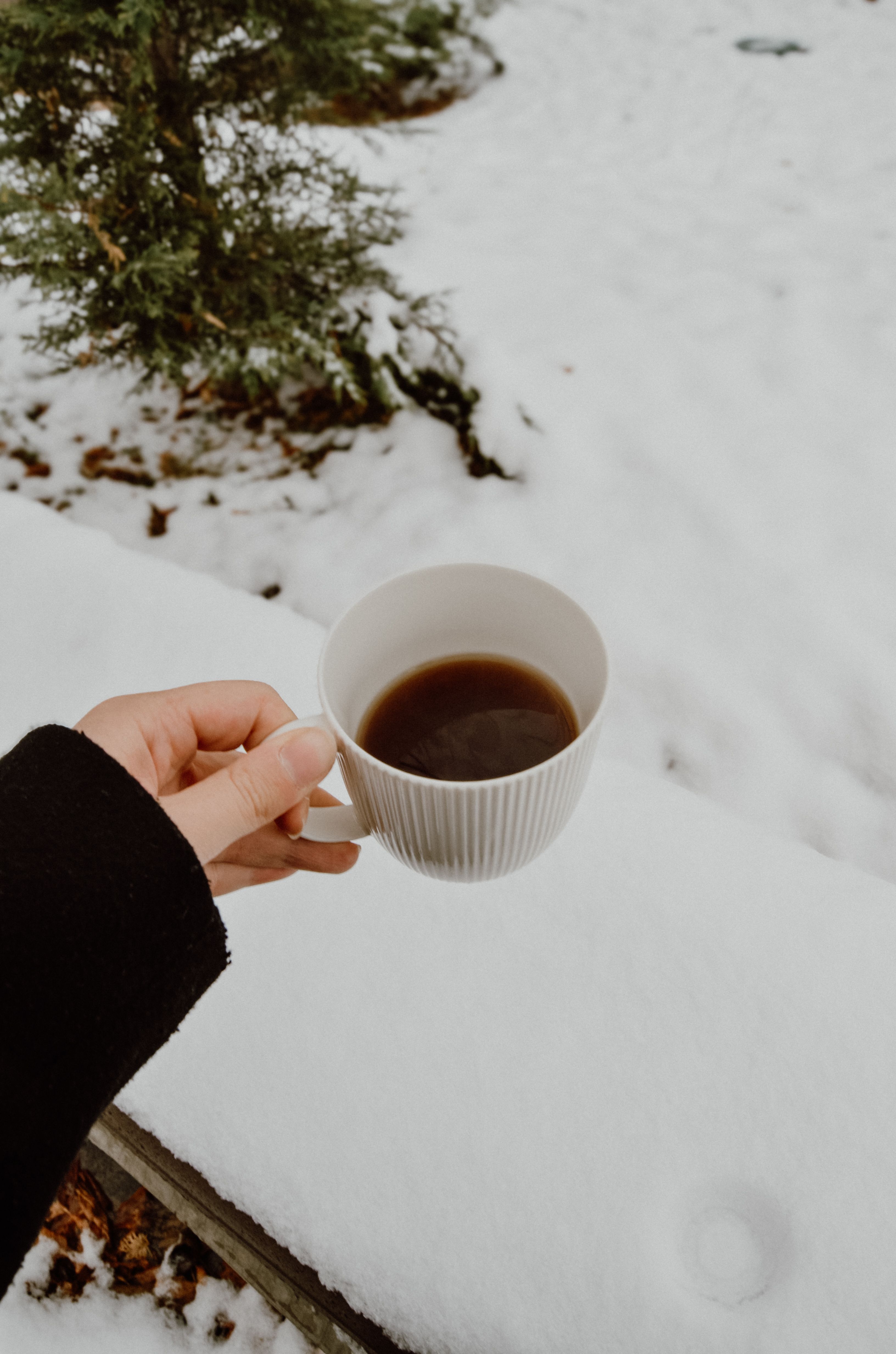 Cozy Winter Morning with a Warm Cup of Coffee · Free Stock Photo