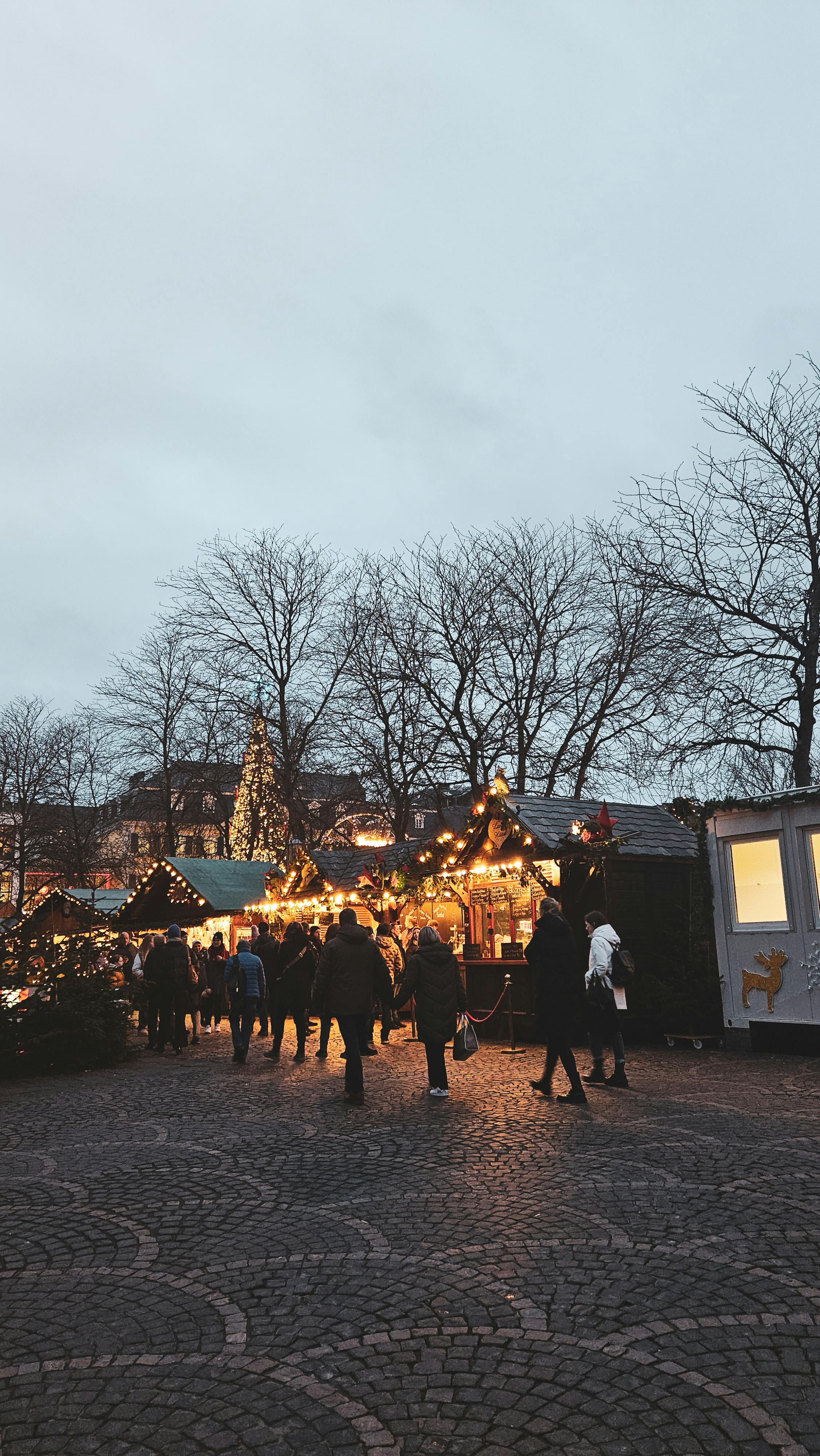 Festive Season Photos, Download The BEST Free Festive Season Stock ...