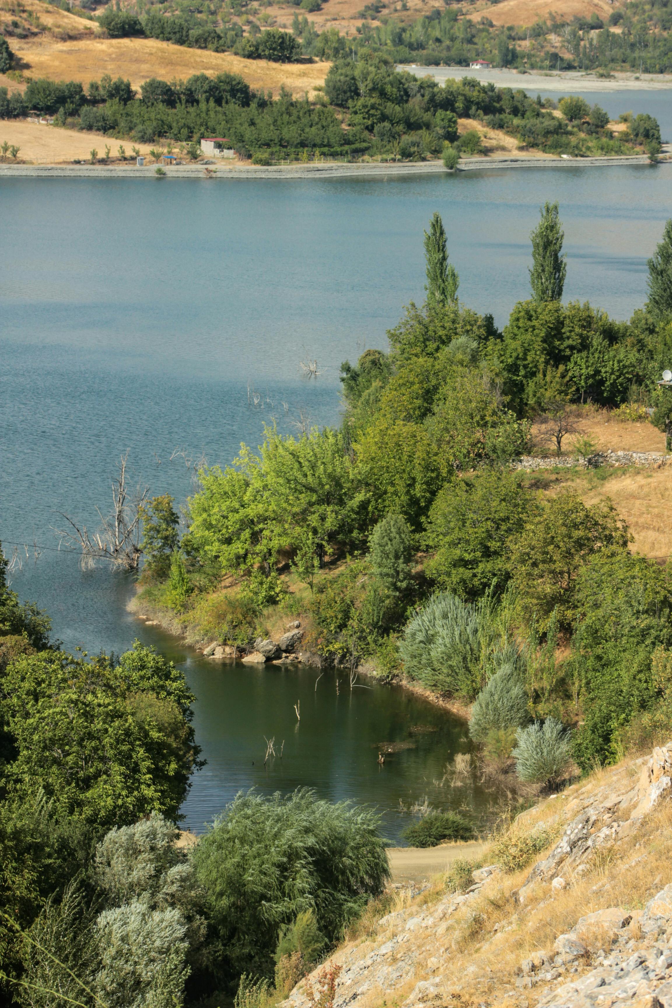 Vegetation Photos, Download The BEST Free Vegetation Stock Photos & HD ...