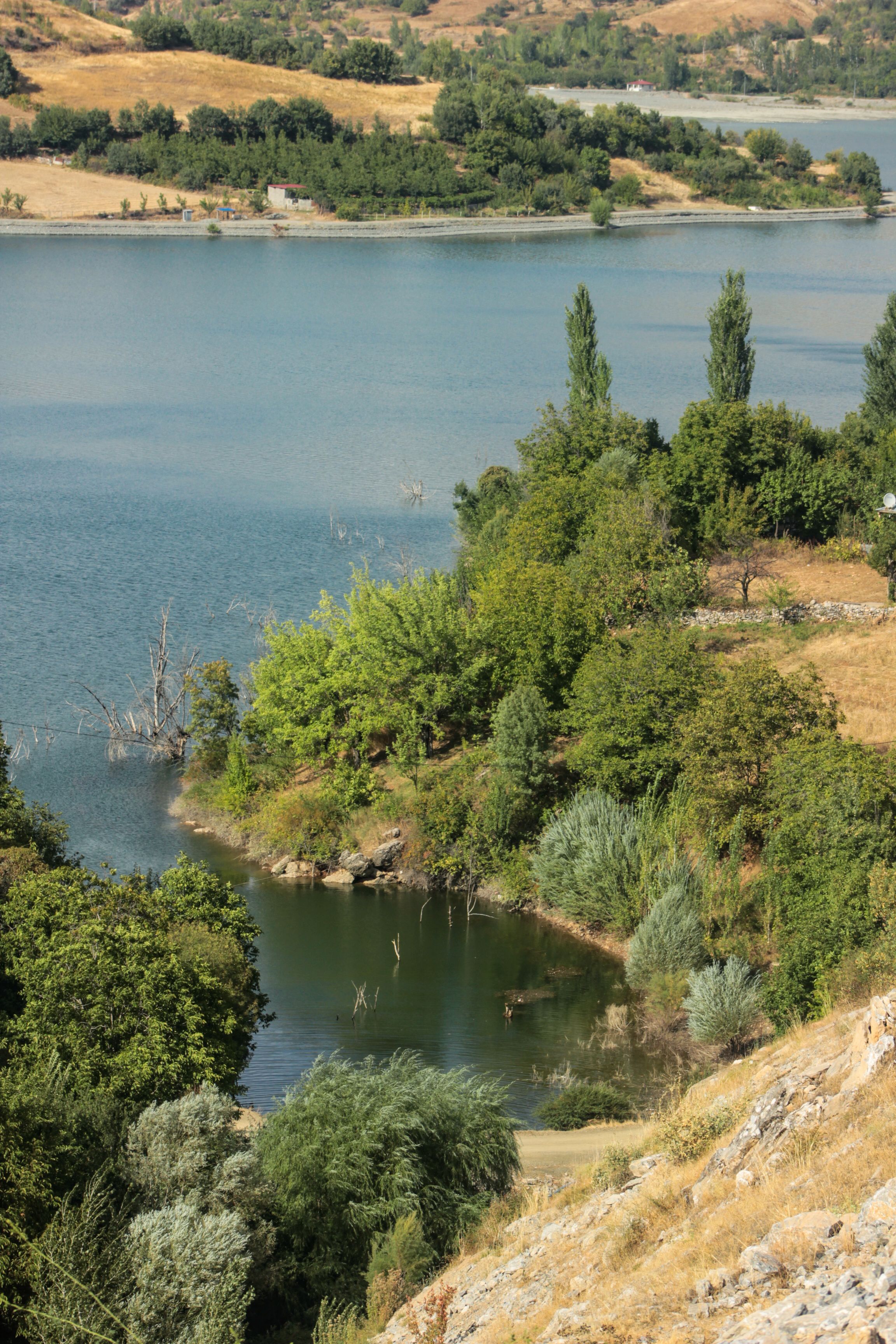 Scenic View of Green Landscape by River in Türkiye · Free Stock Photo