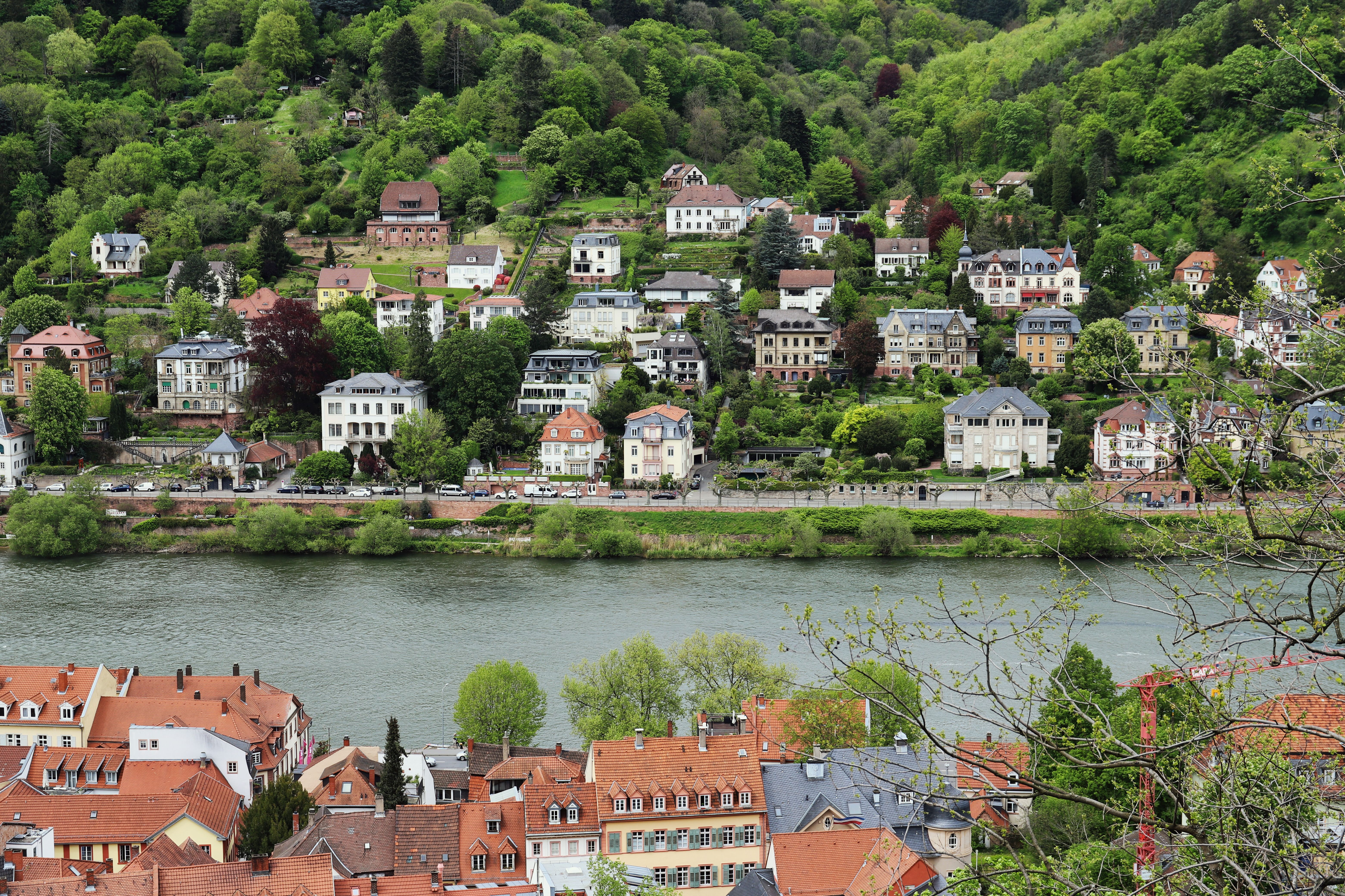 Picturesque View of Heidelberg Riverside Homes · Free Stock Photo