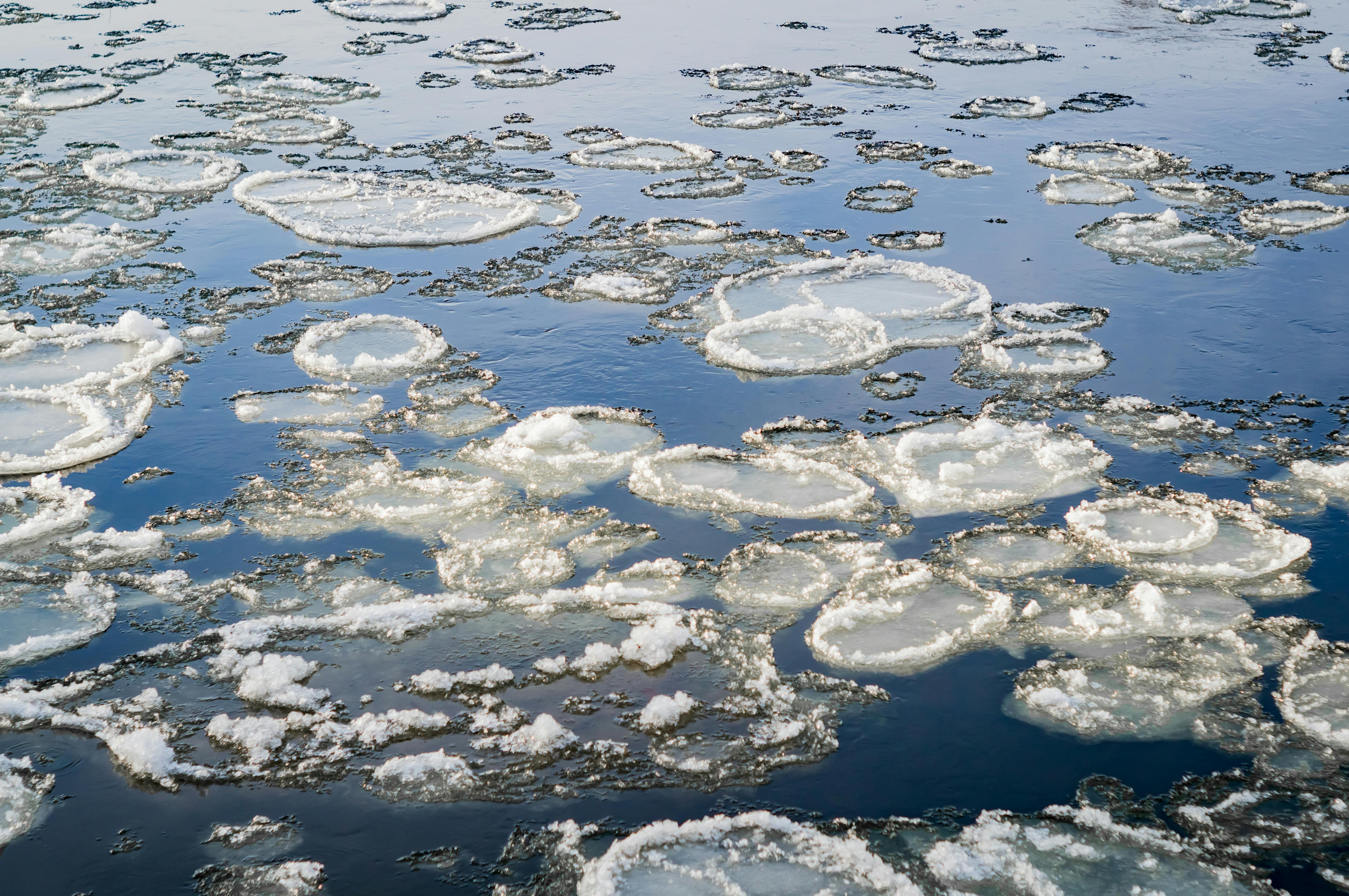 Floating Ice Patterns on Water Surface · Free Stock Photo