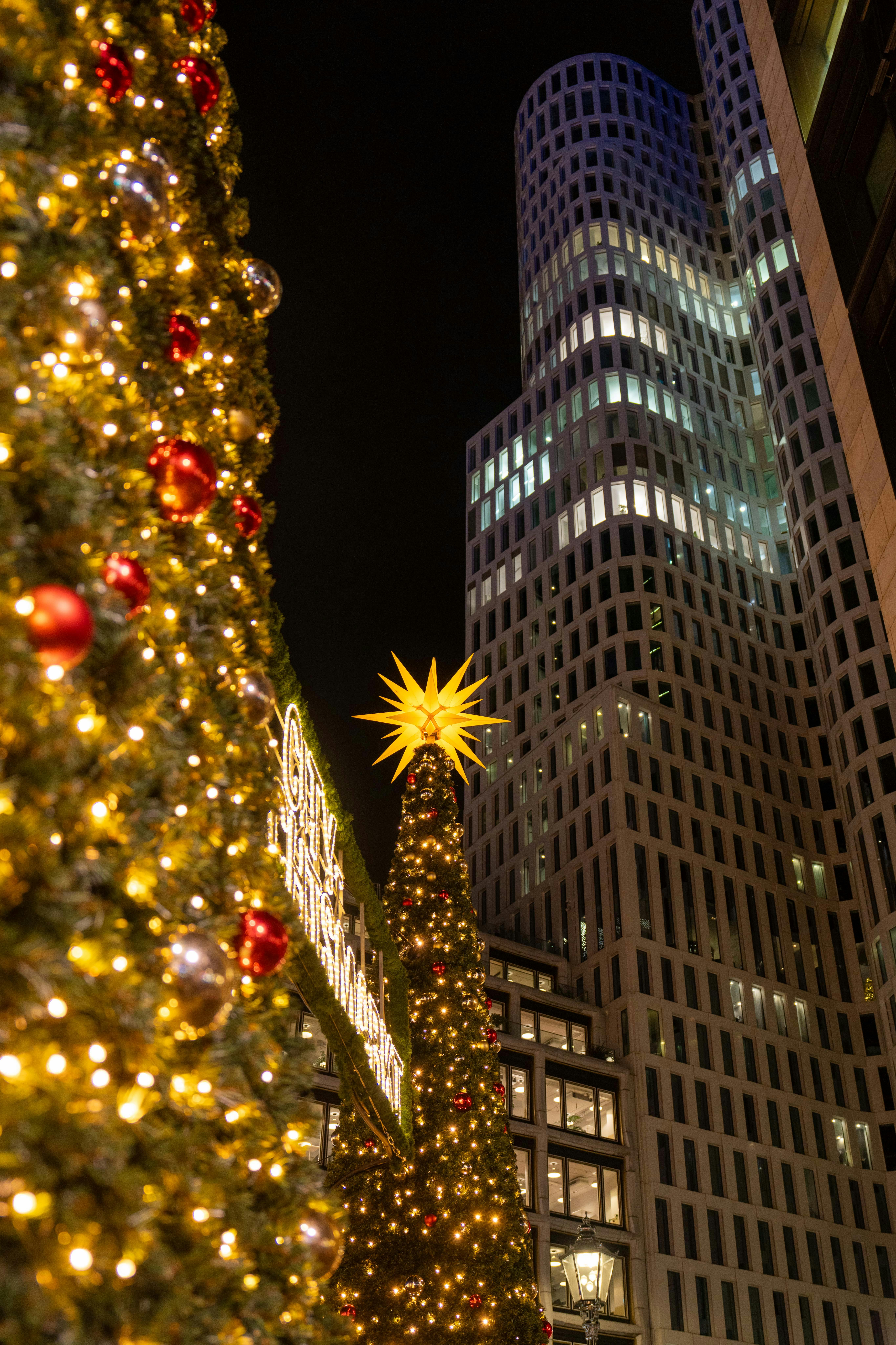 Nighttime View of Christmas Decorations and Modern Skyscraper · Free ...