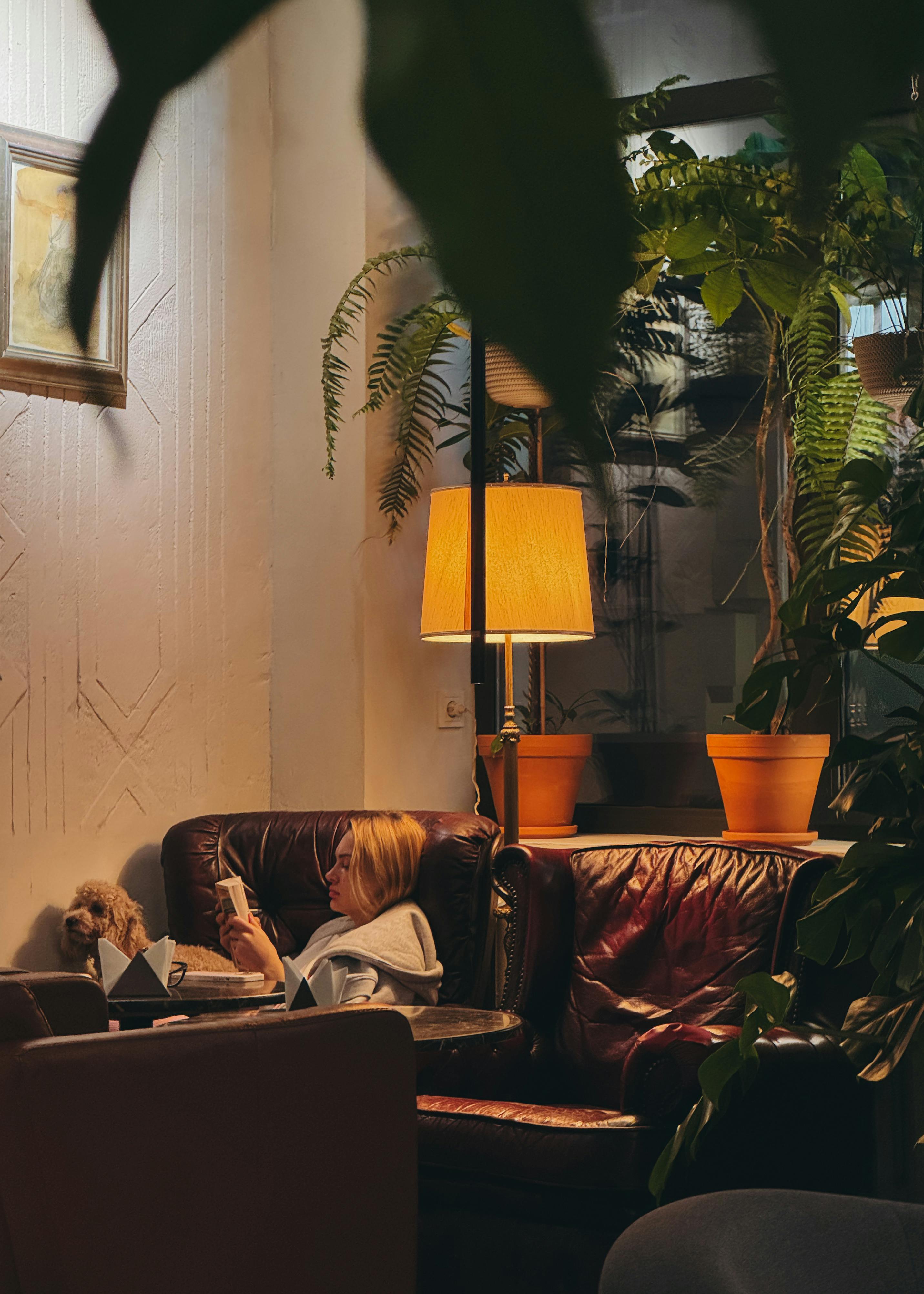 Cozy Indoor Reading Space with Plants · Free Stock Photo