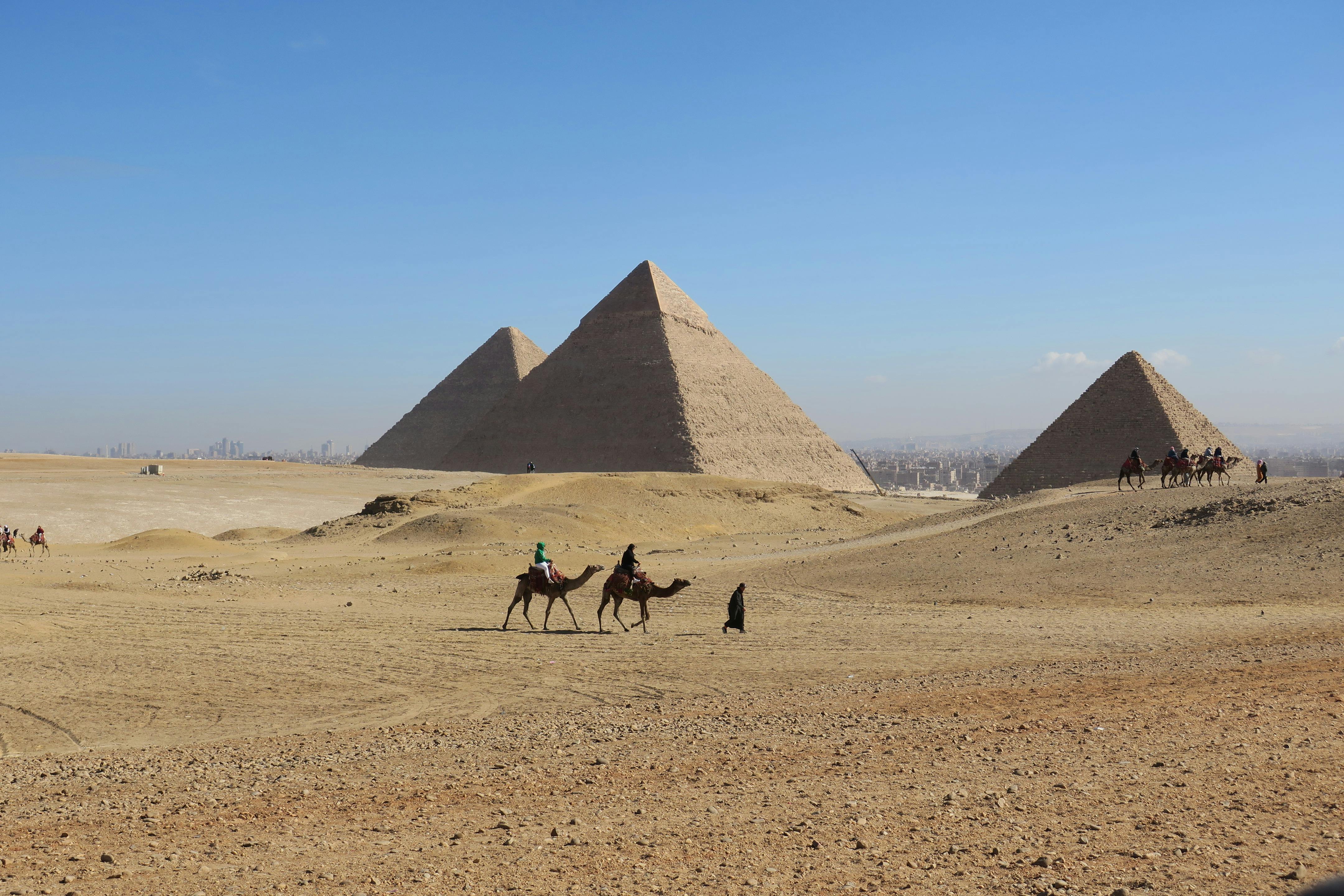 Unta Di Dekat Piramida Besar Di Gurun Kairo · Foto Stok Gratis