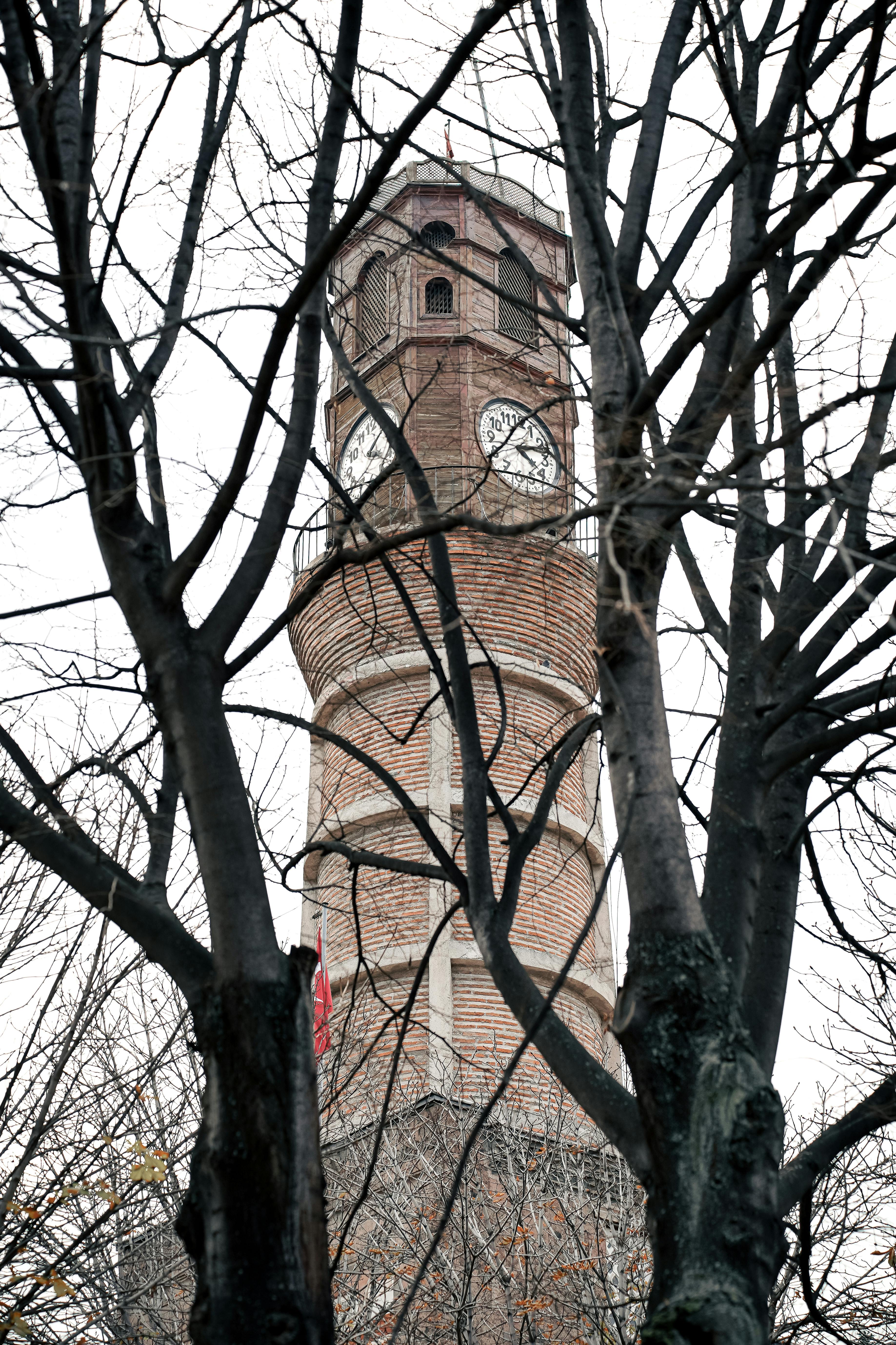 Historic Clock Tower Framed by Winter Trees · Free Stock Photo