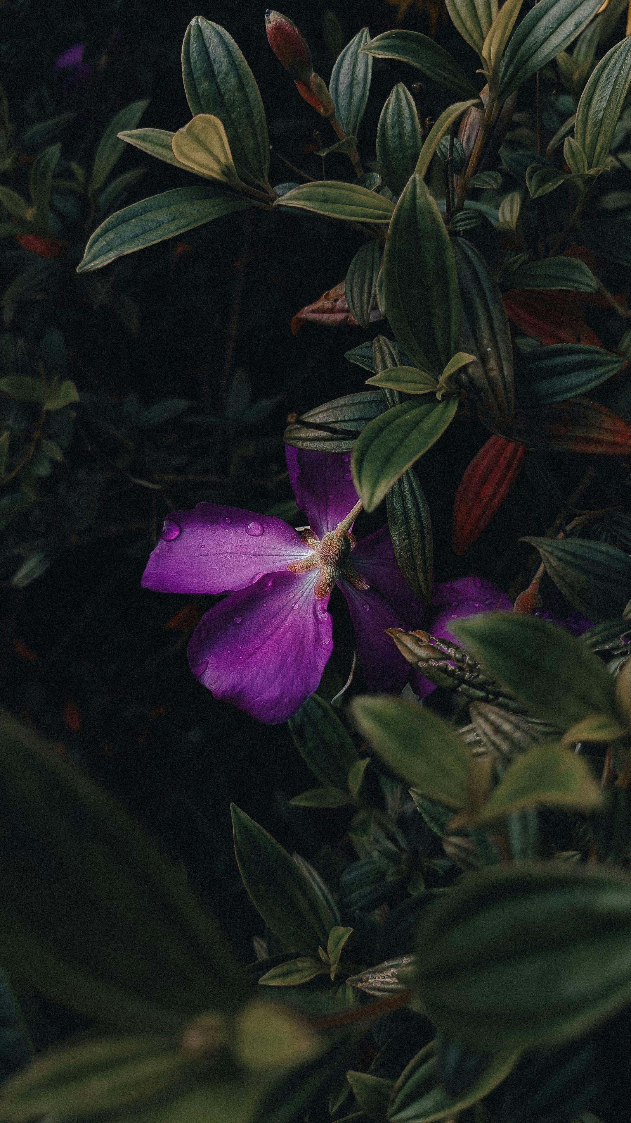 Non Copyright Bgmi Wallpaper Photos, Download The BEST Free Non ...