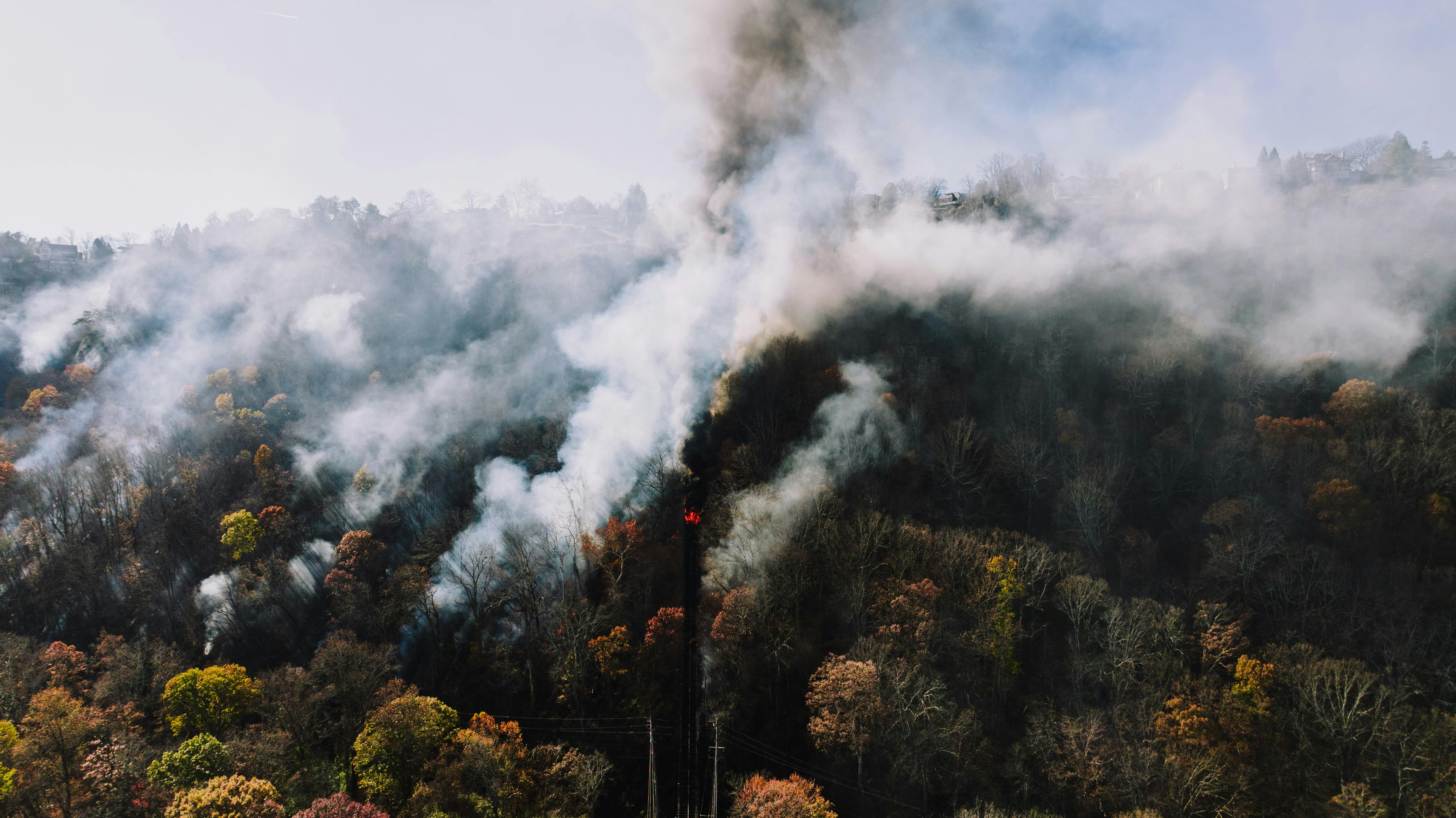 Aerial View of Smoky Forest in Chattanooga · Free Stock Photo