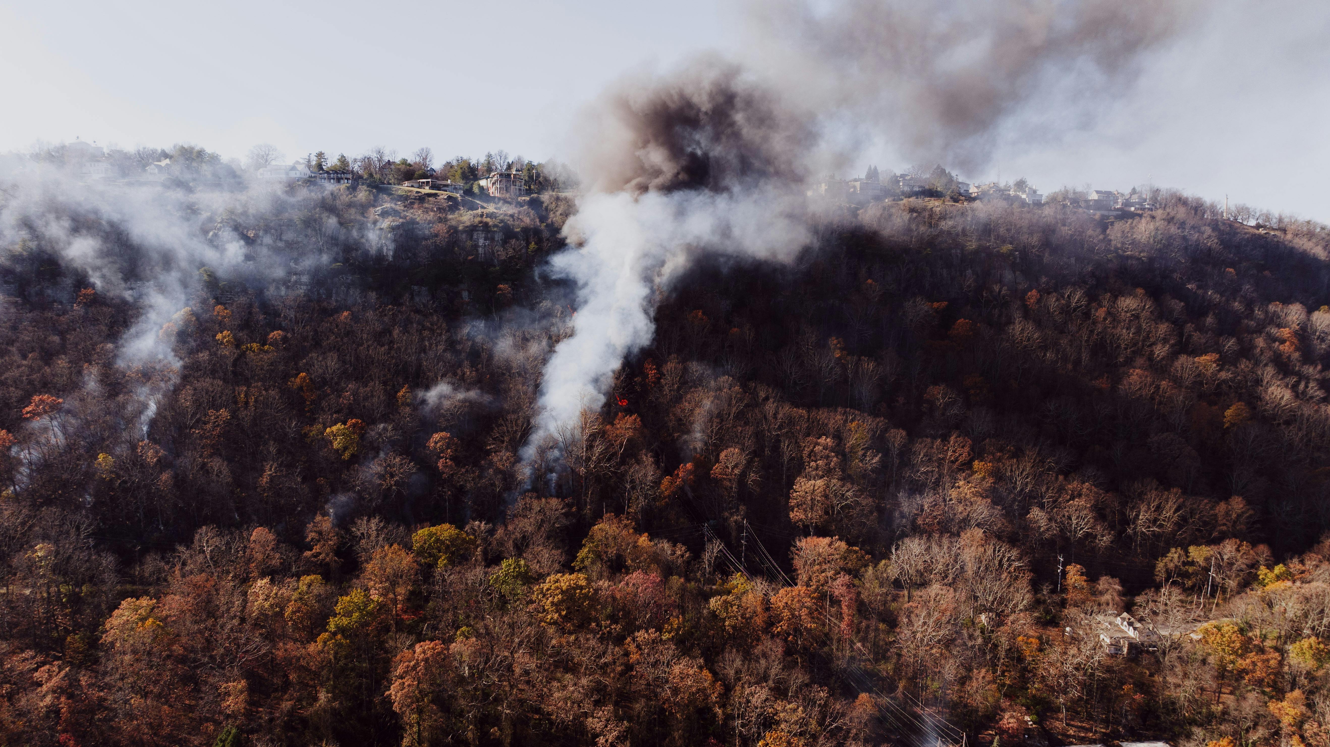 Forest Fire Smoke Over Autumn Woods in Tennessee · Free Stock Photo