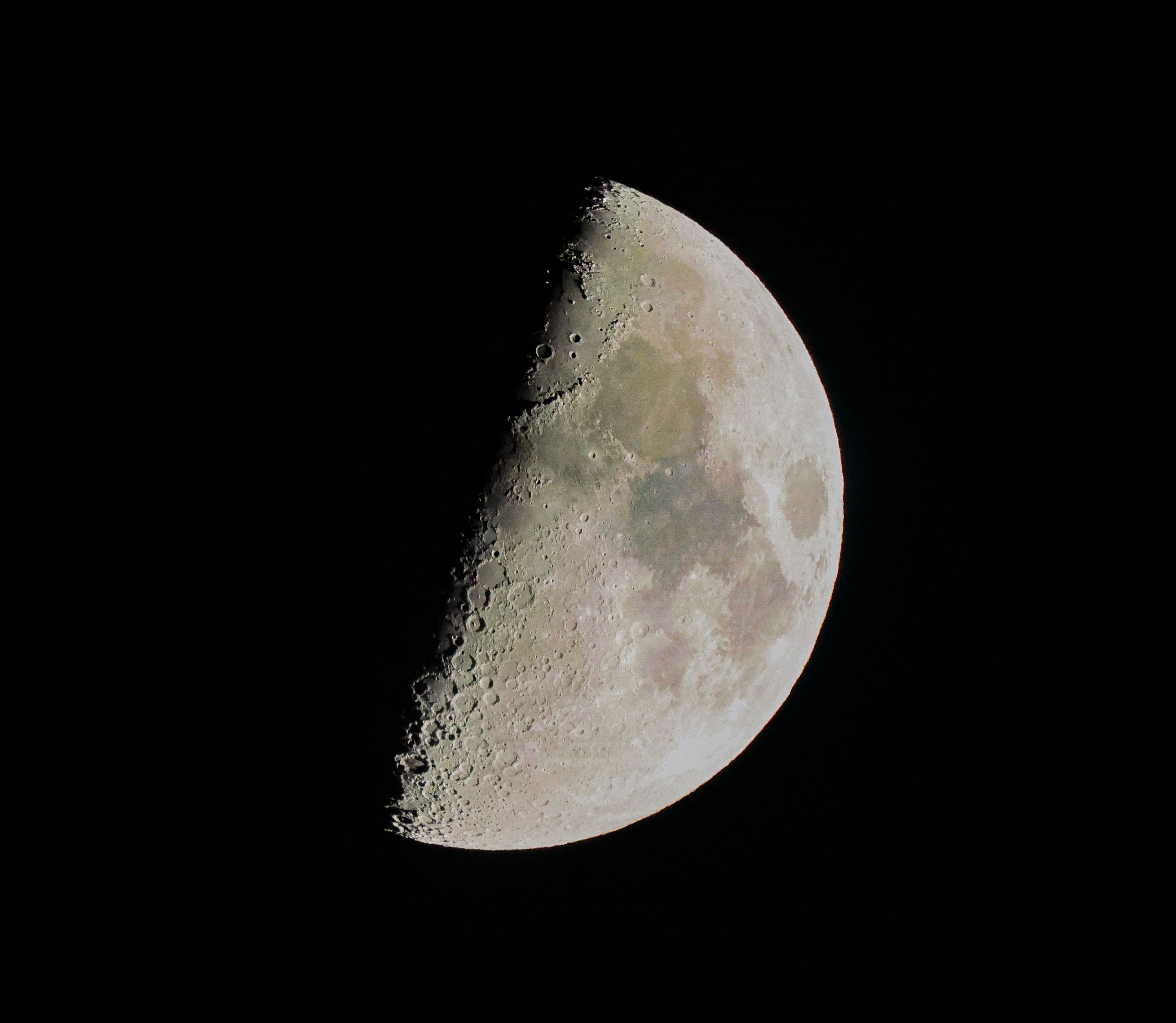 Crisp Half Moon in Dark Night Sky · Free Stock Photo