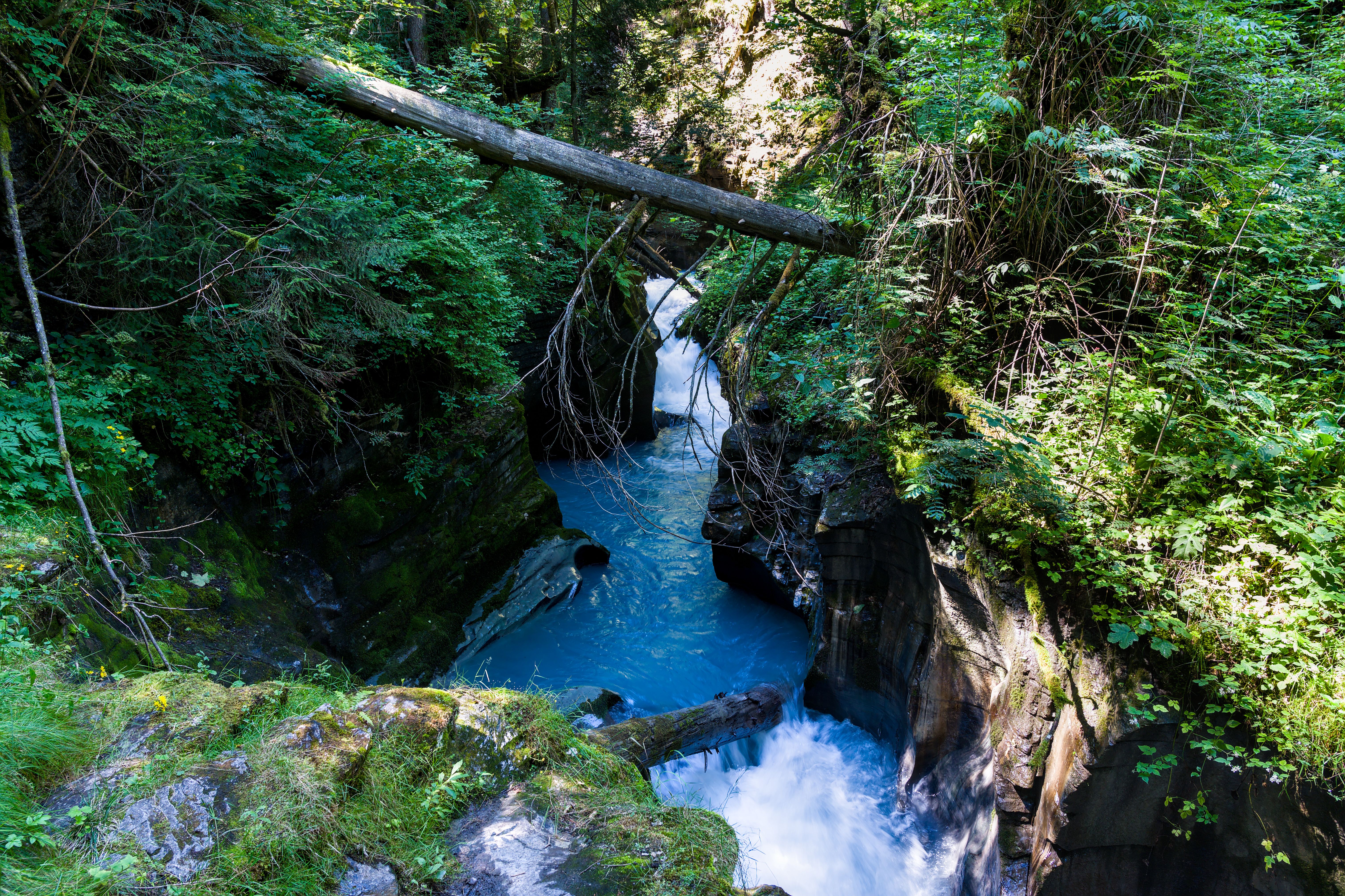 Serene Alpine Waterfall in Lush Forest Setting · Free Stock Photo