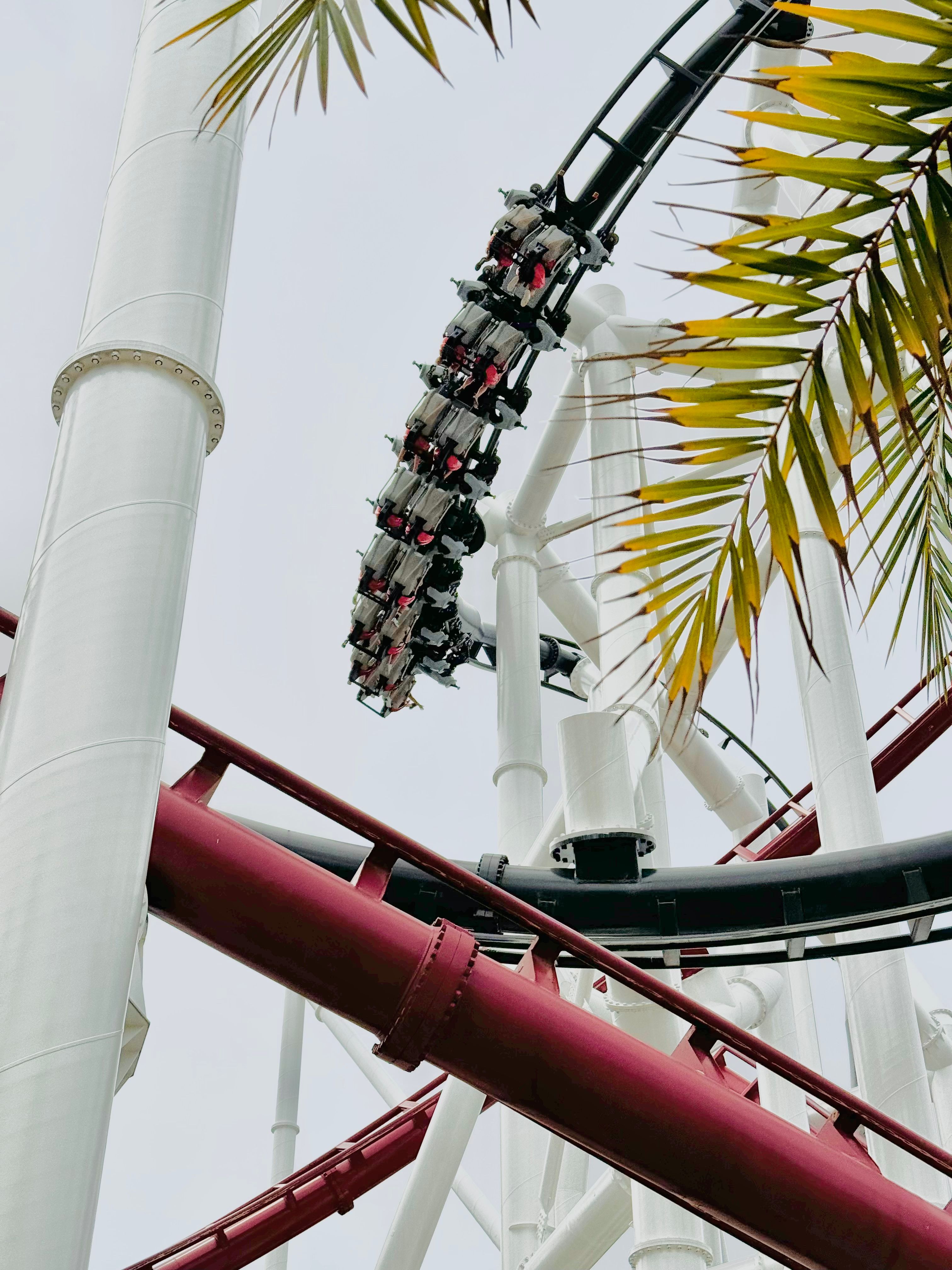 Thrilling Roller Coaster Loop in Singapore · Free Stock Photo