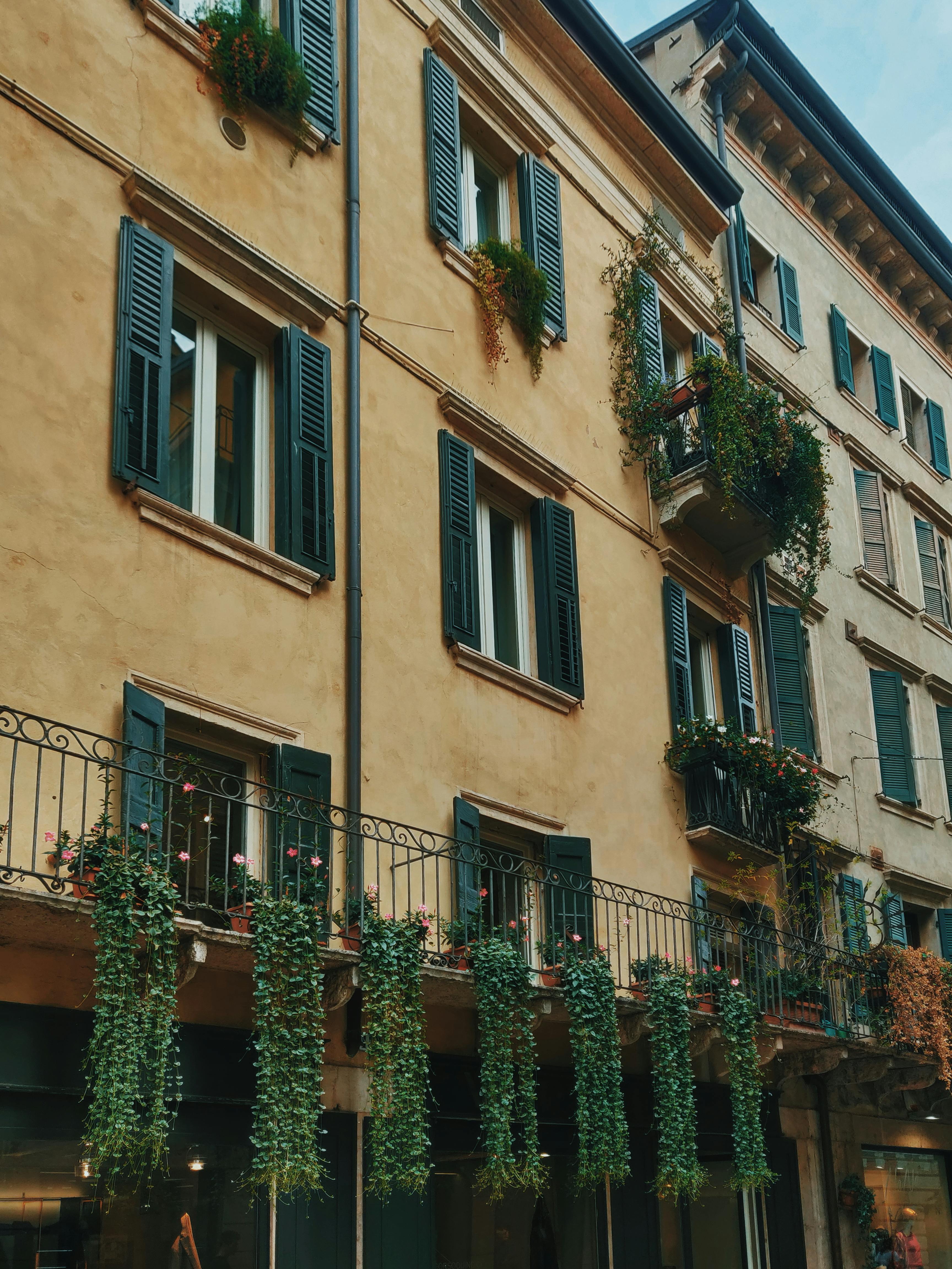 Beige Painted Buildings · Free Stock Photo