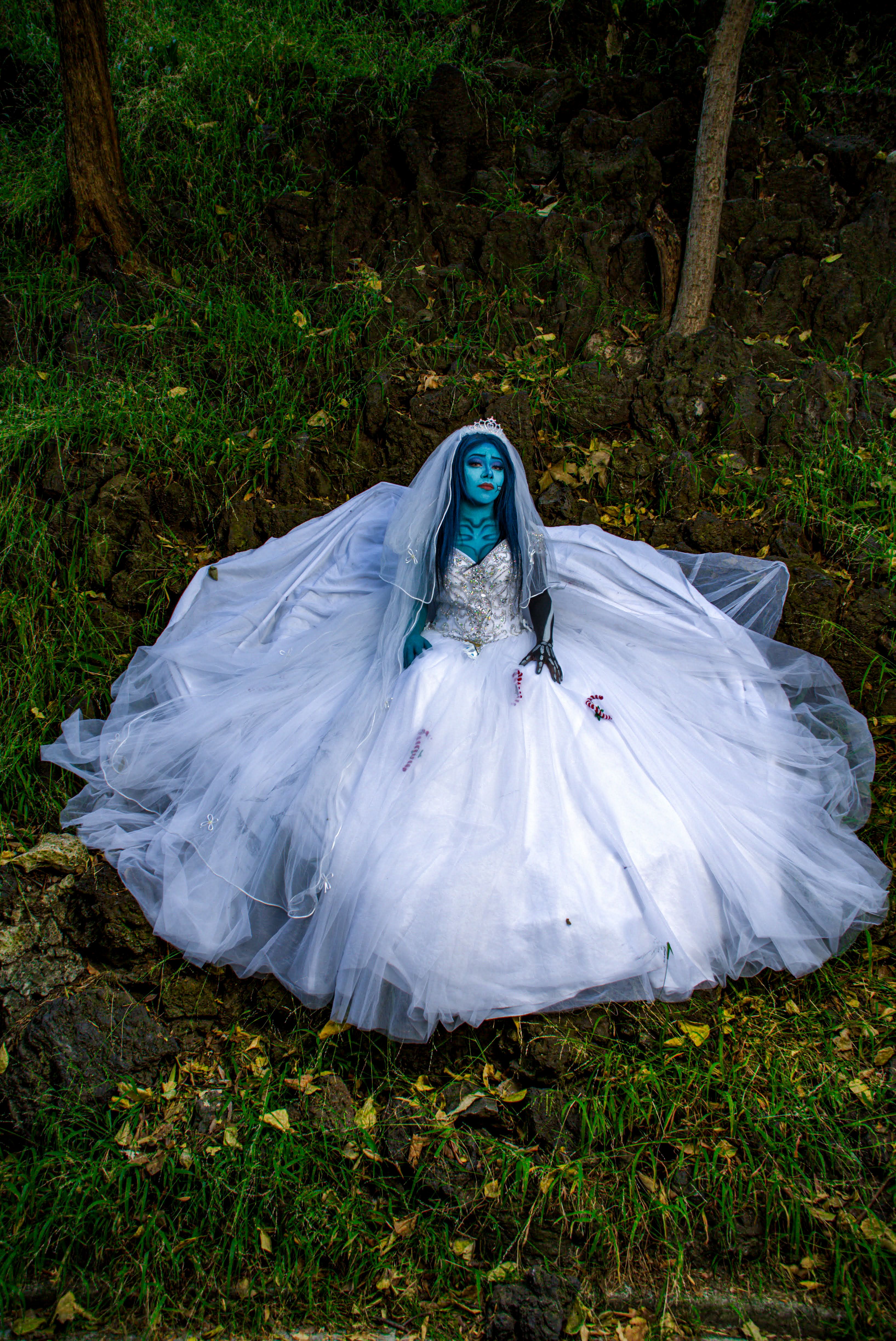 Fantasy Bride with Blue Skin in Enchanted Forest · Free Stock Photo