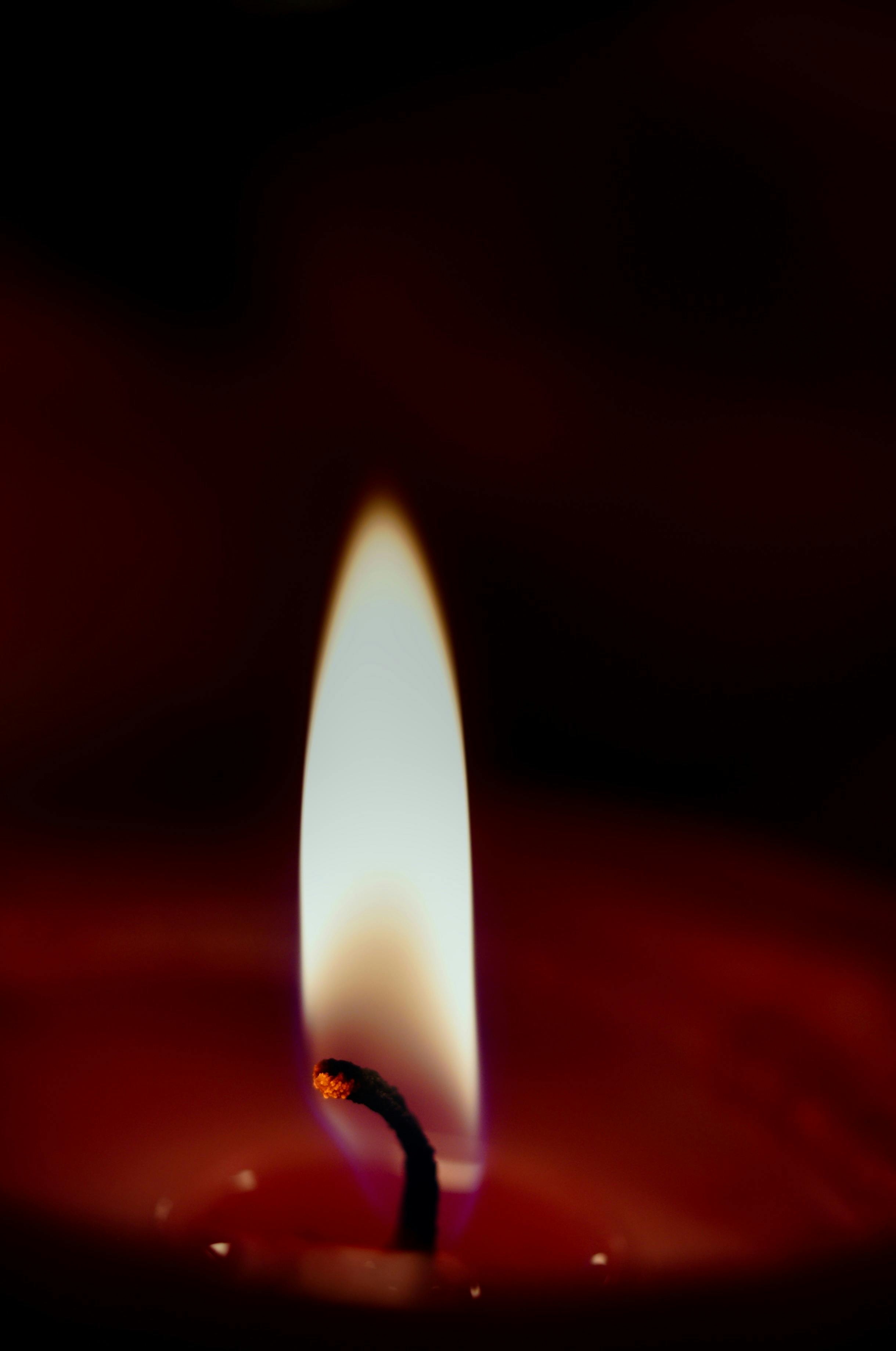Close-up of a burning candle flame · Free Stock Photo