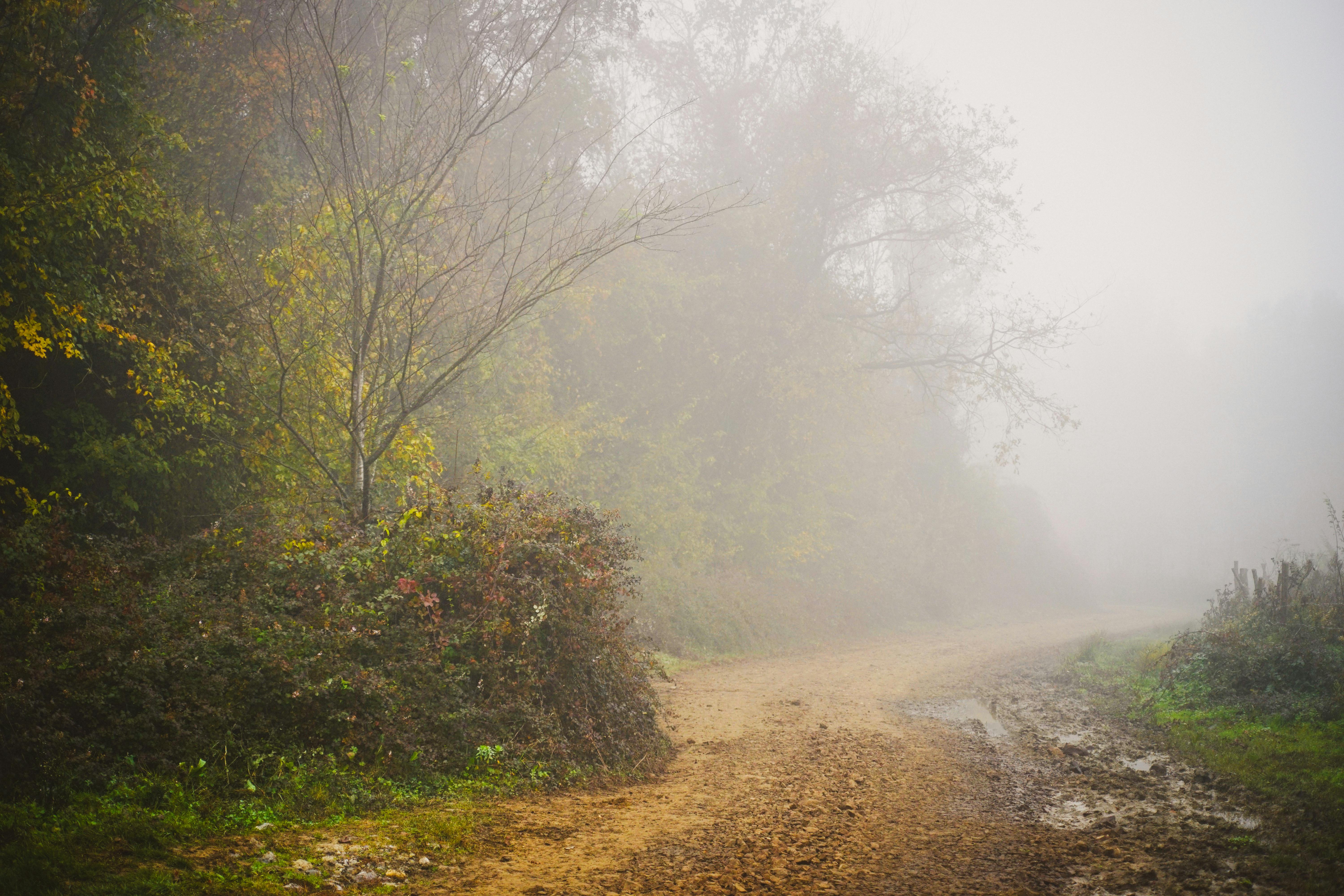 Dew Slogan Photos, Download The BEST Free Dew Slogan Stock Photos & HD ...