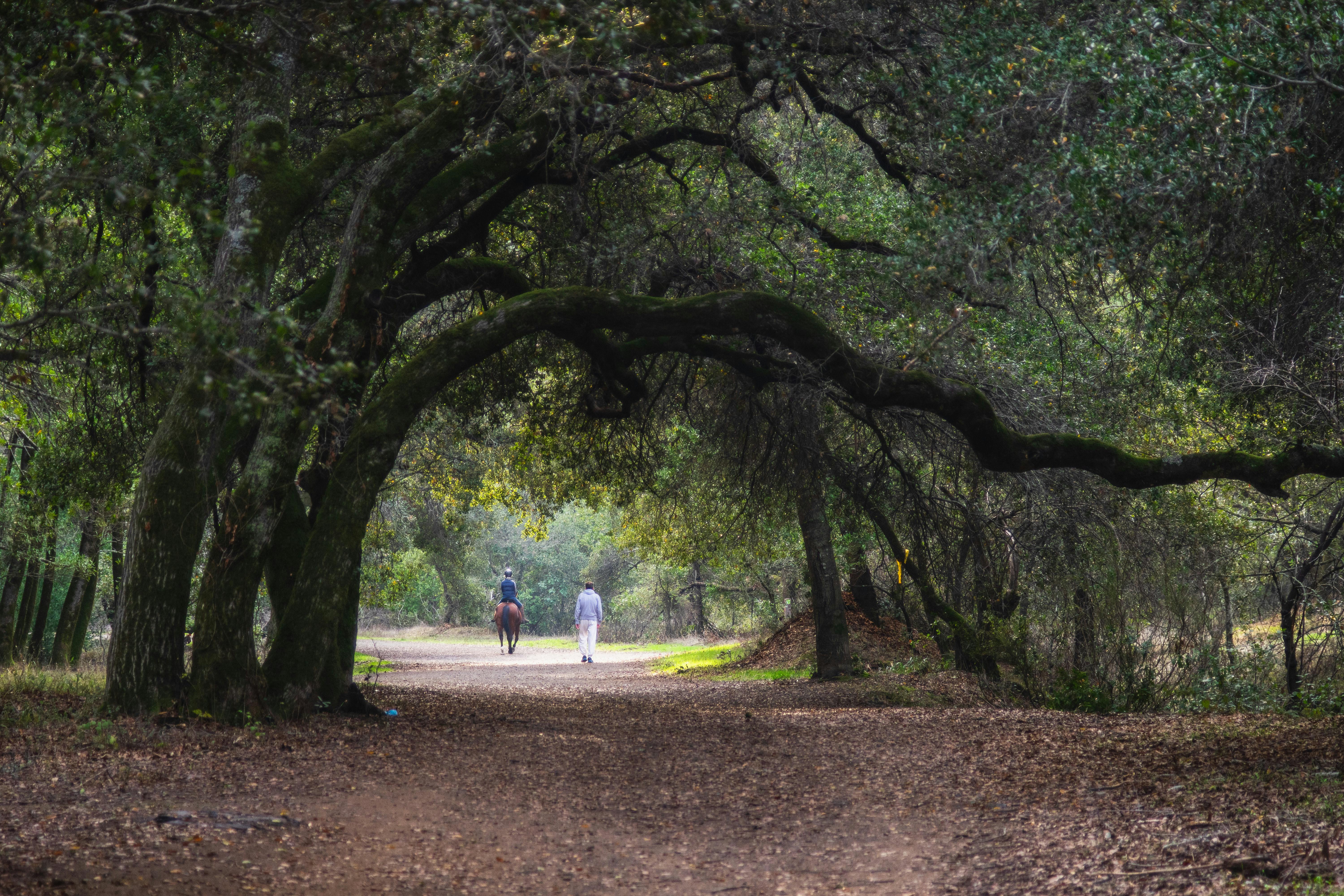 Jhonny Walker Photos, Download The BEST Free Jhonny Walker Stock Photos ...