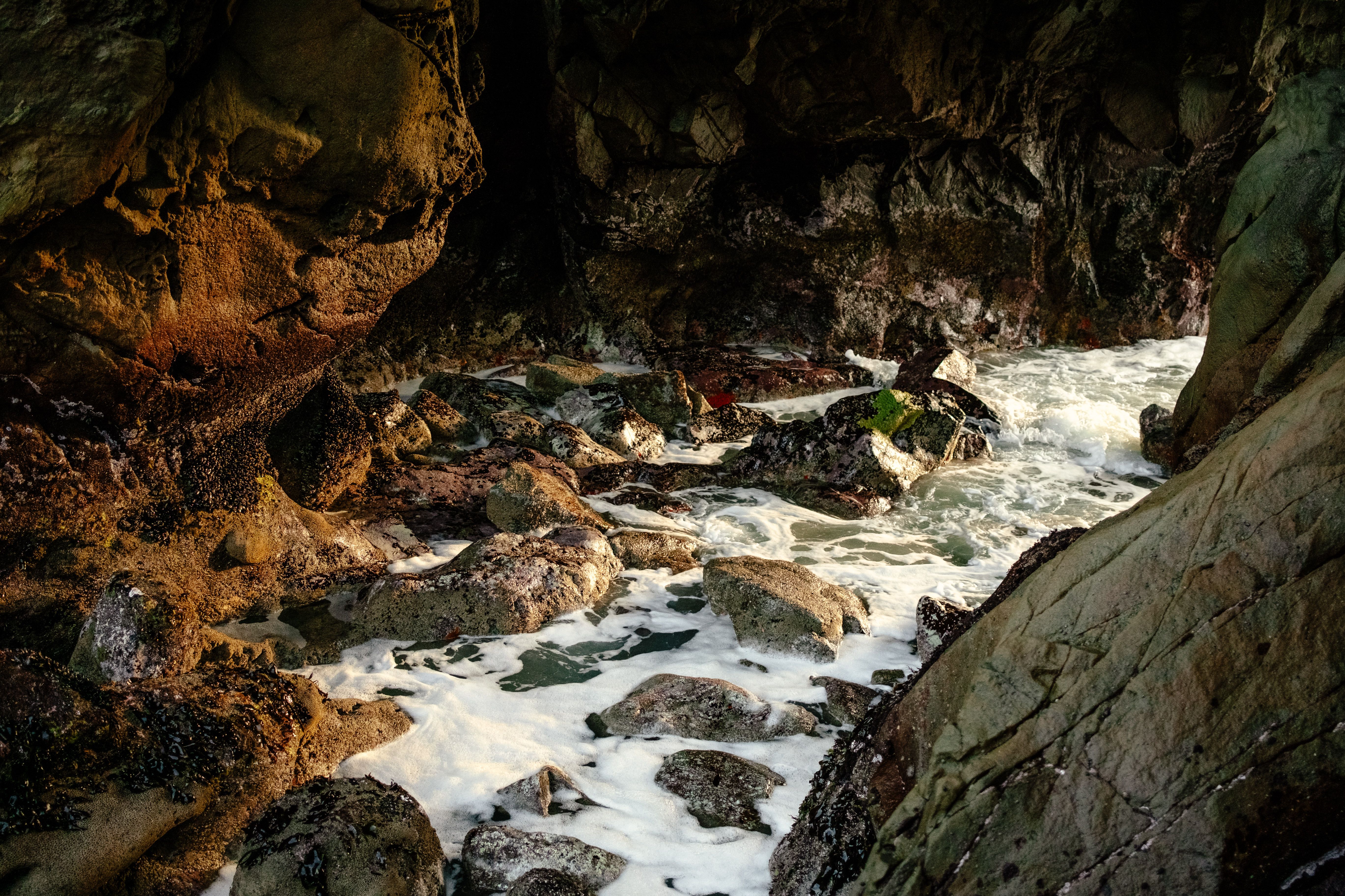 Cave Club Photos, Download The BEST Free Cave Club Stock Photos & HD Images