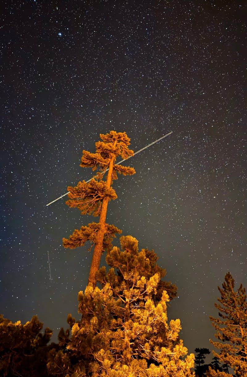 Meteor Shower Photos, Download The BEST Free Meteor Shower Stock Photos ...