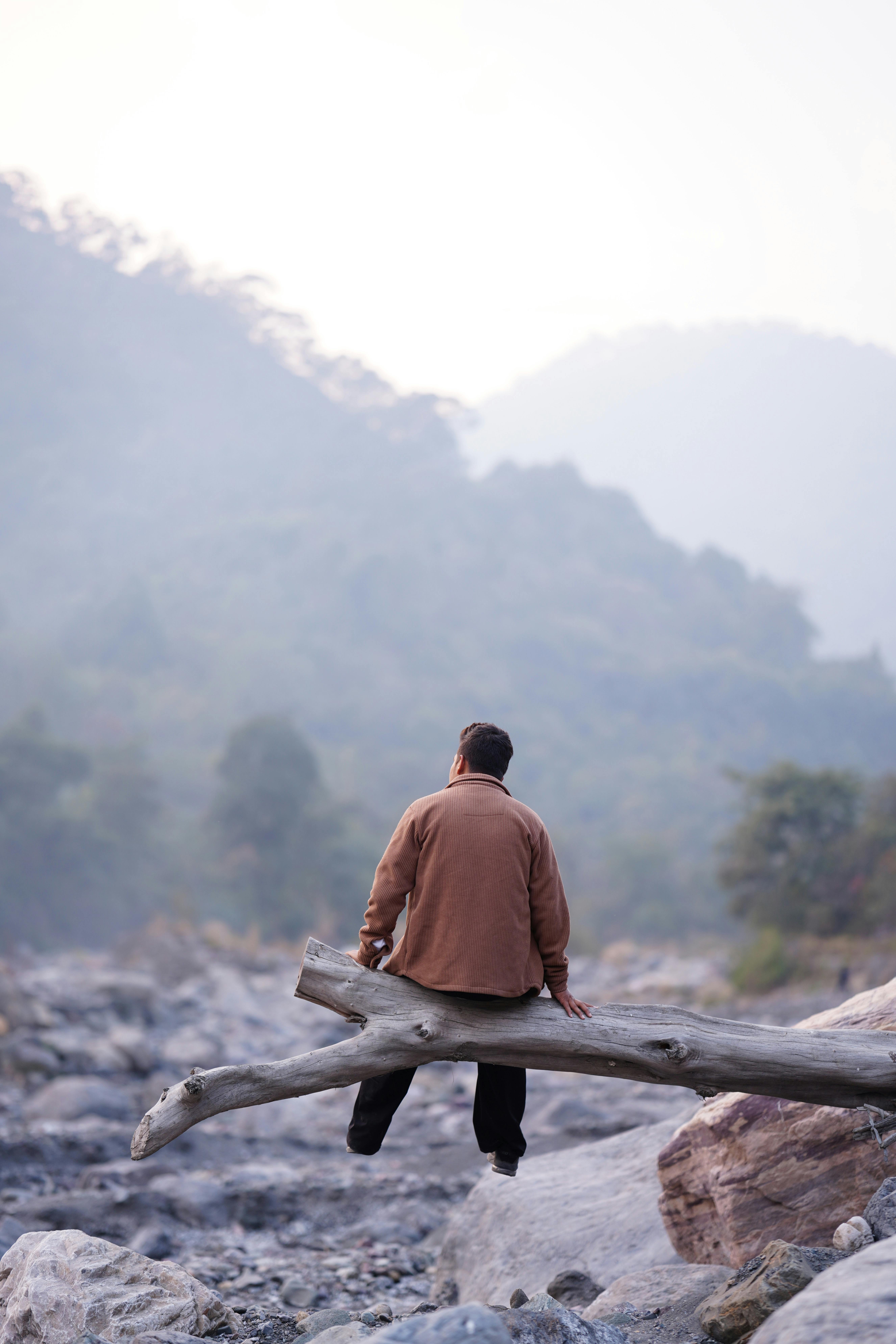 Man Sitting on Log Surrounded by Misty Mountains · Free Stock Photo