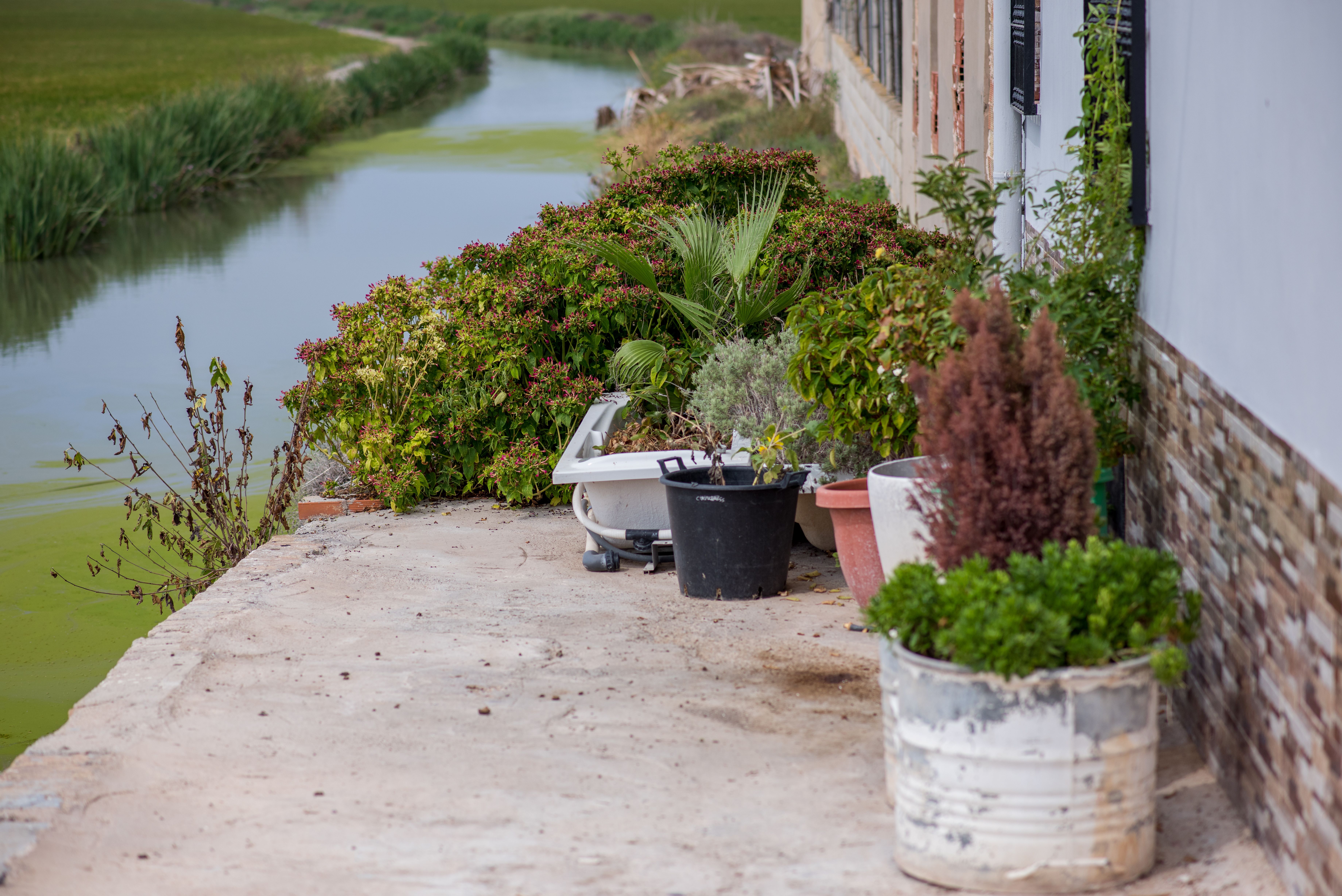 Rural Waterside Garden with Varied Potted Plants · Free Stock Photo