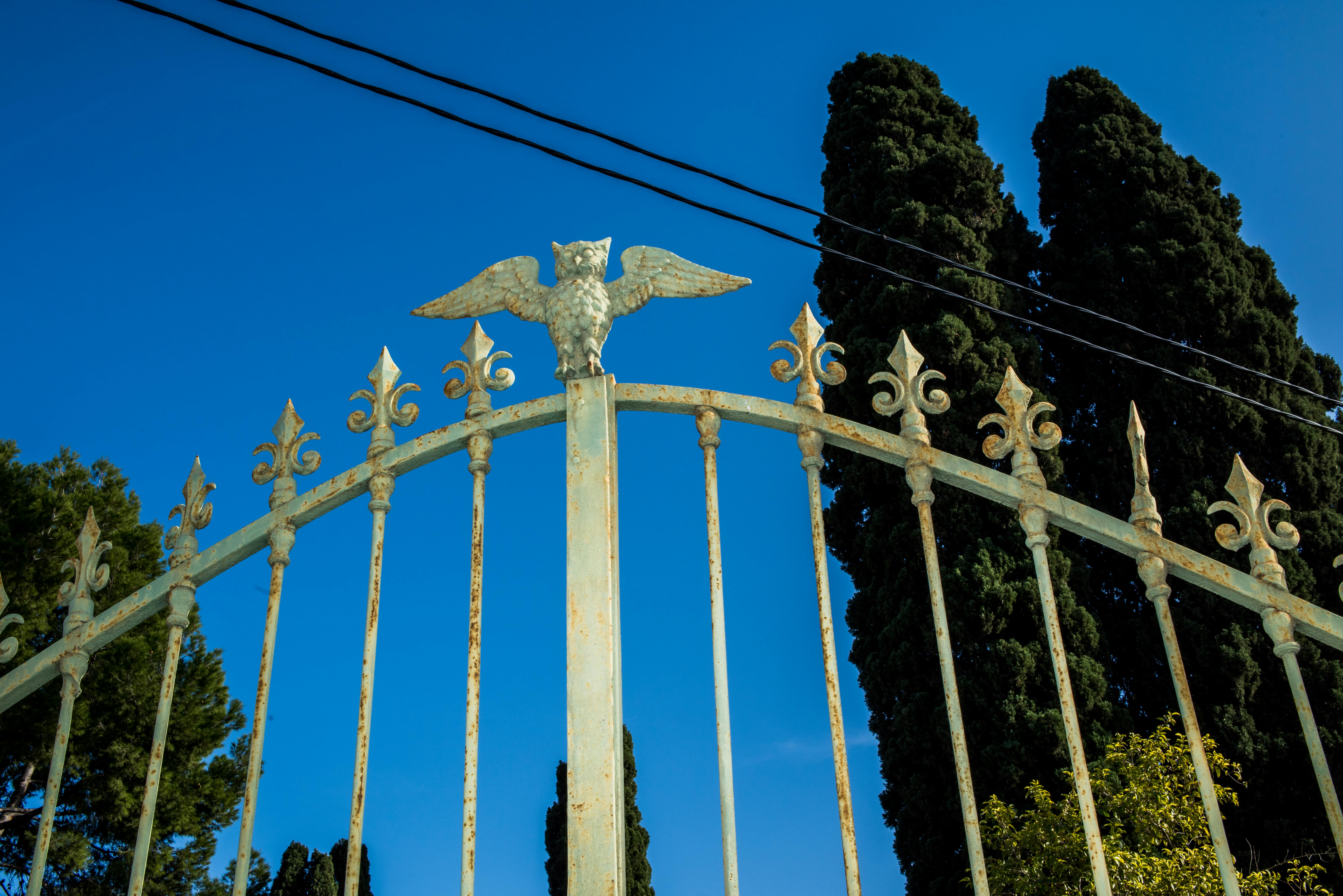 Ornate Metal Gate with Eagle in Natural Setting · Free Stock Photo