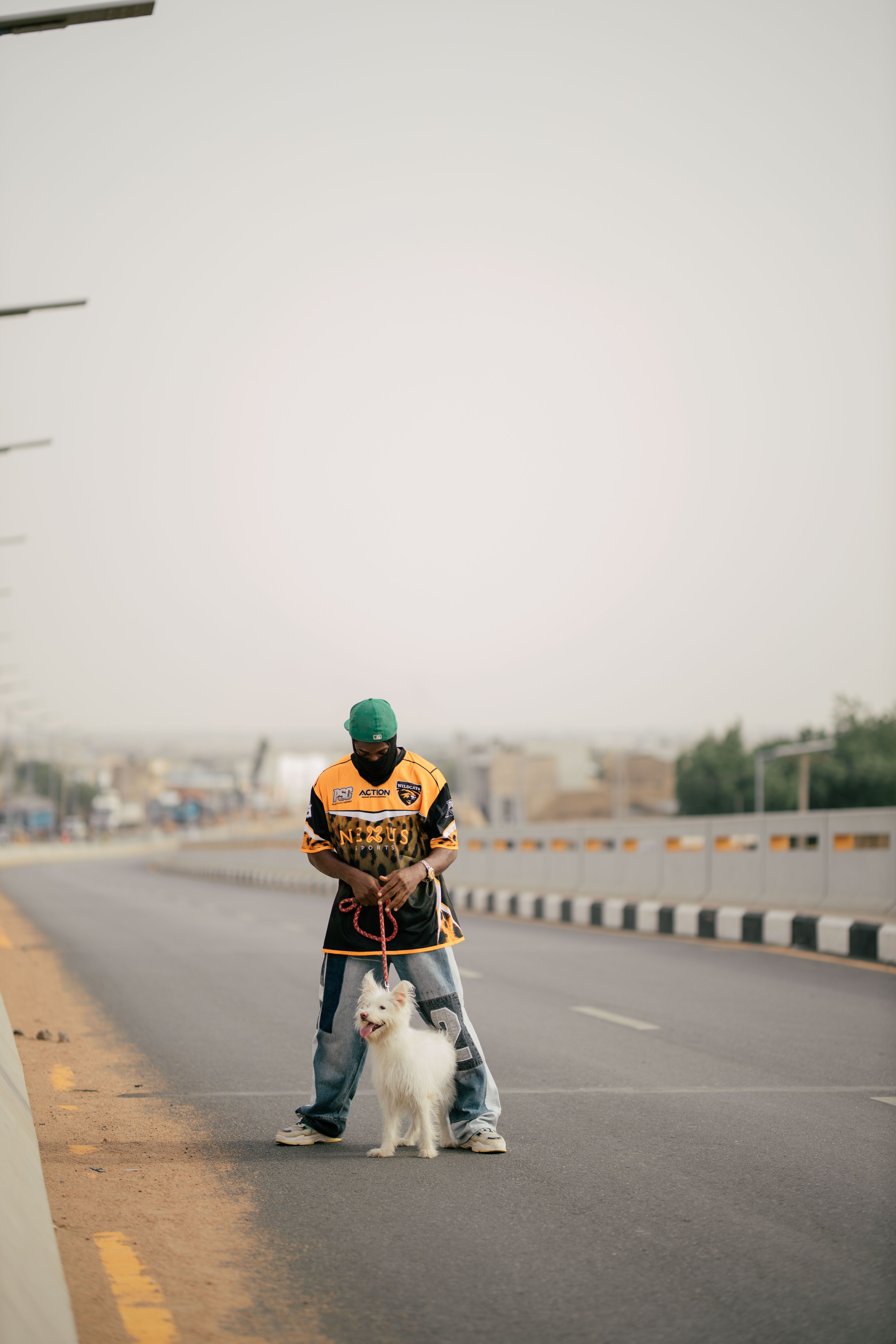 Man Walking Dogs on Urban Roadside Pathway · Free Stock Photo