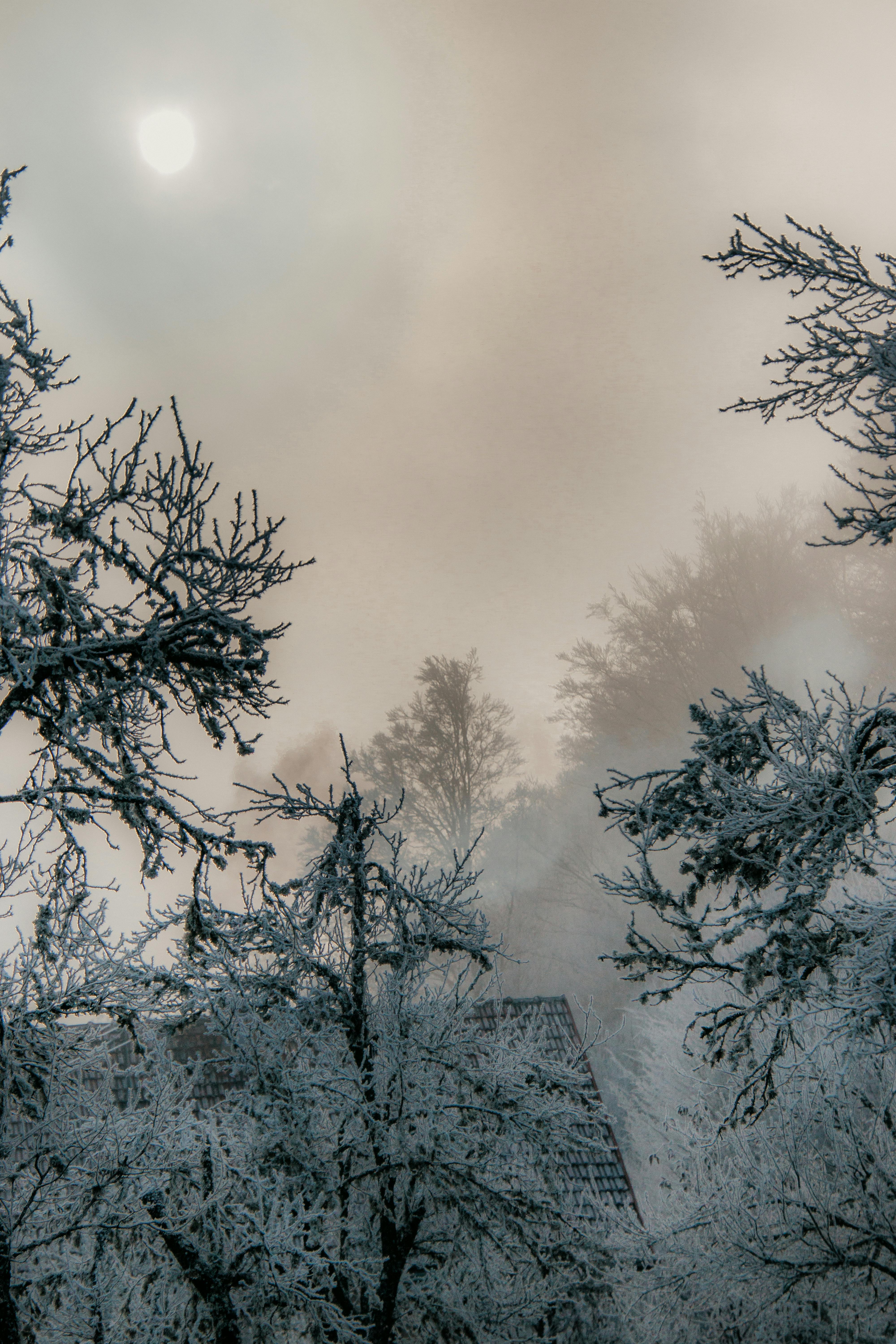 Disclaimer Examples Photos, Download The BEST Free Disclaimer Examples ...