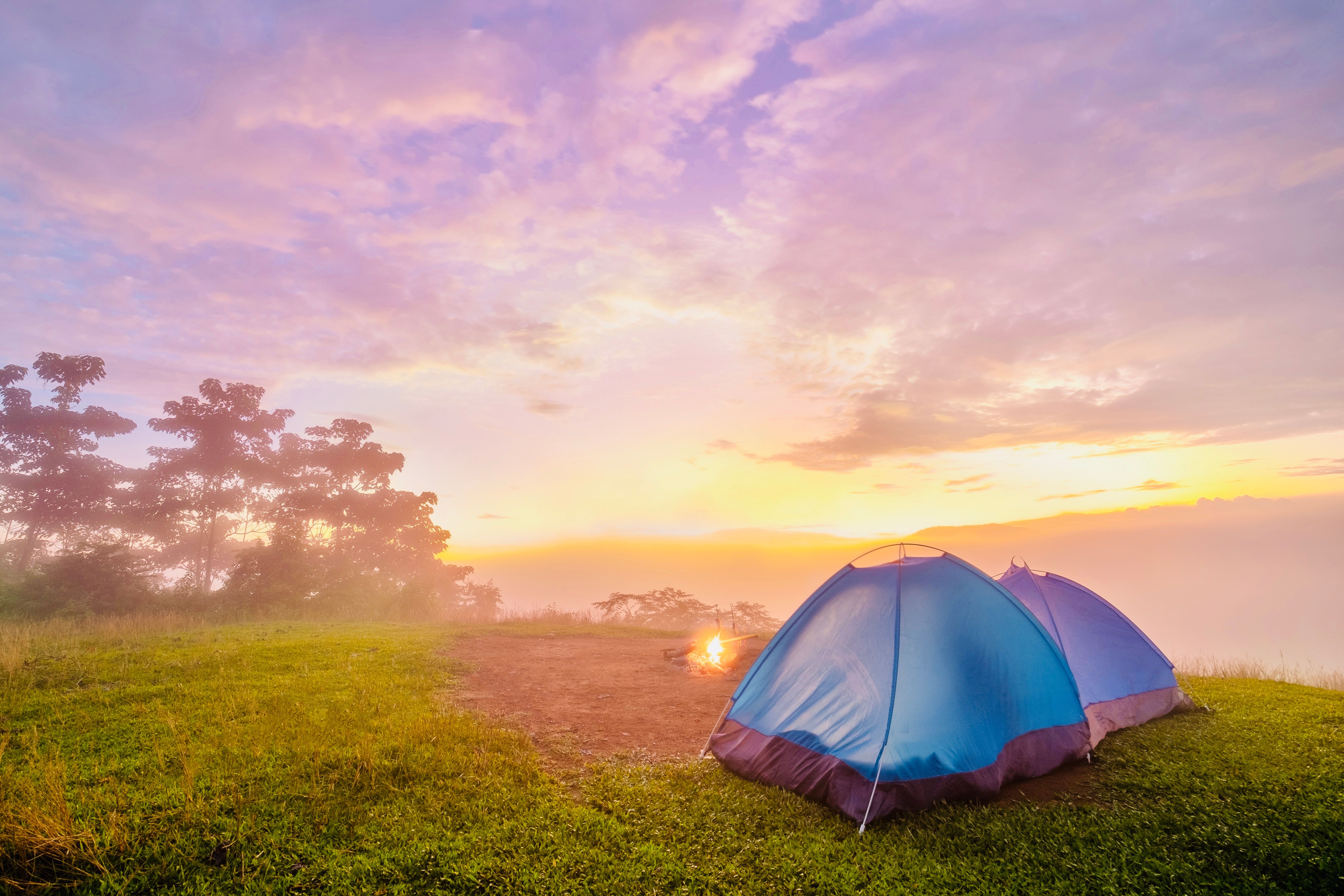 Serene Sunrise Camping Near Misty Forest · Free Stock Photo