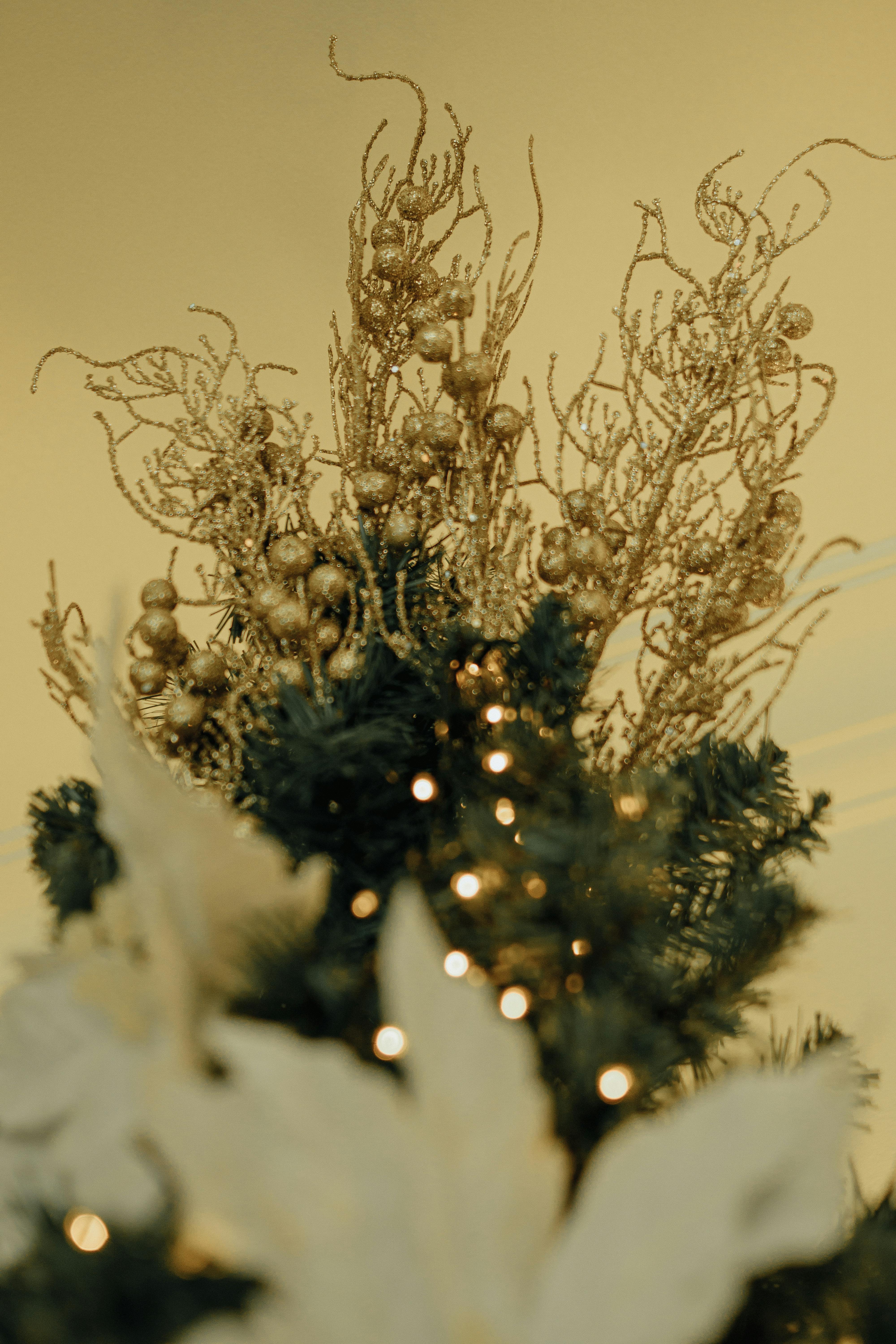 Elegant Christmas Tree Topper with Lights · Free Stock Photo