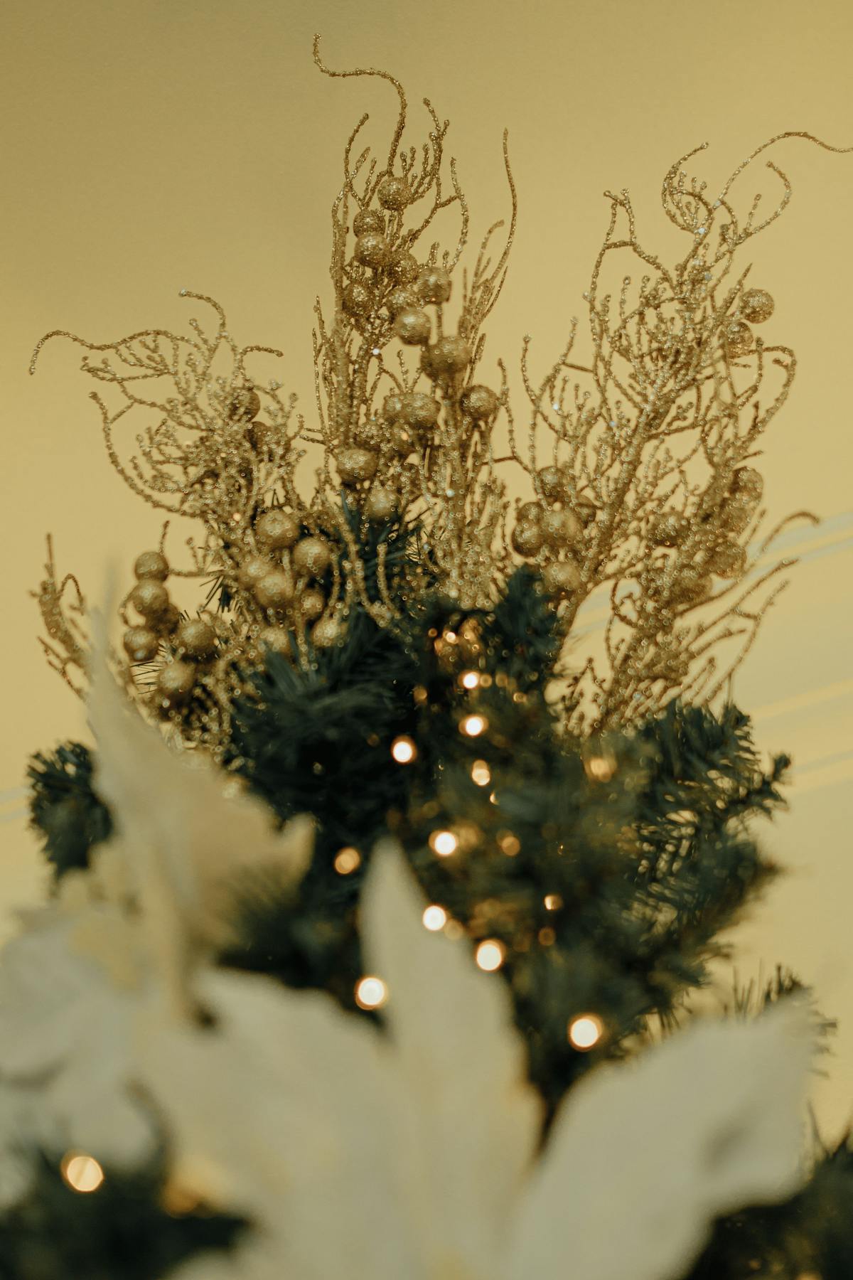 Topper Photos, Download The BEST Free Topper Stock Photos & HD Images