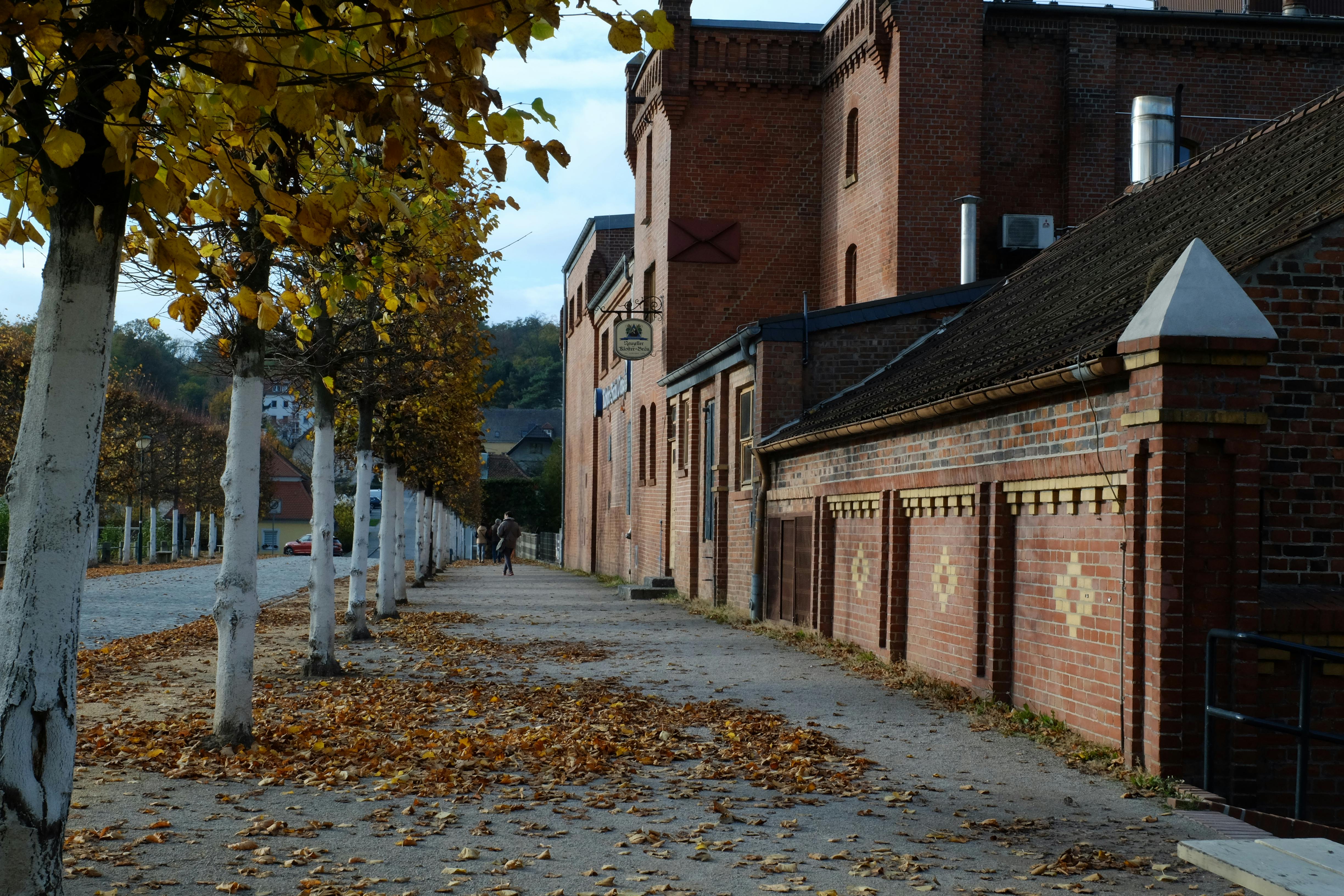 Charming Brick Building in Scenic Autumn Setting · Free Stock Photo