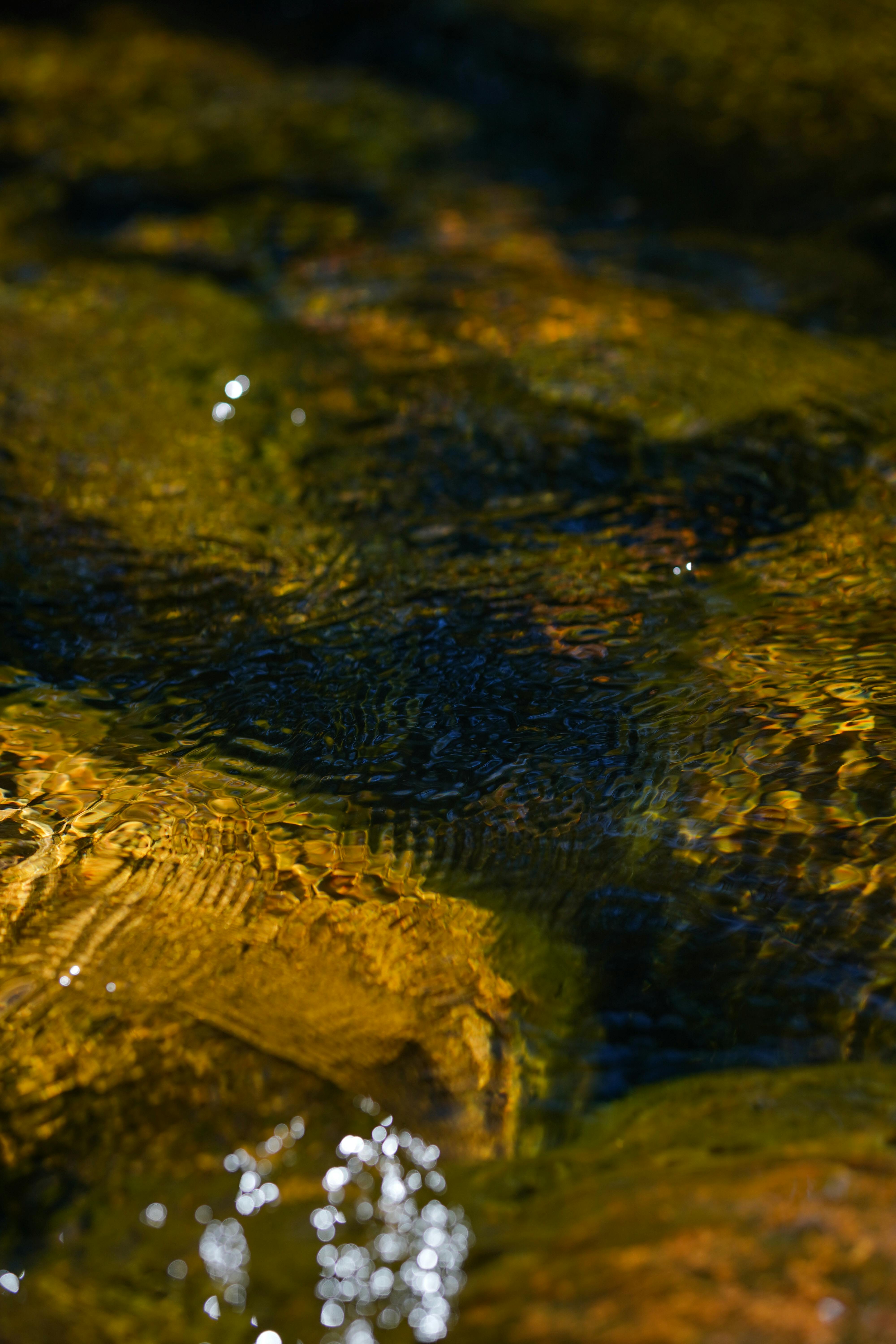 Close-Up of Rippling Water Over Rocks · Free Stock Photo