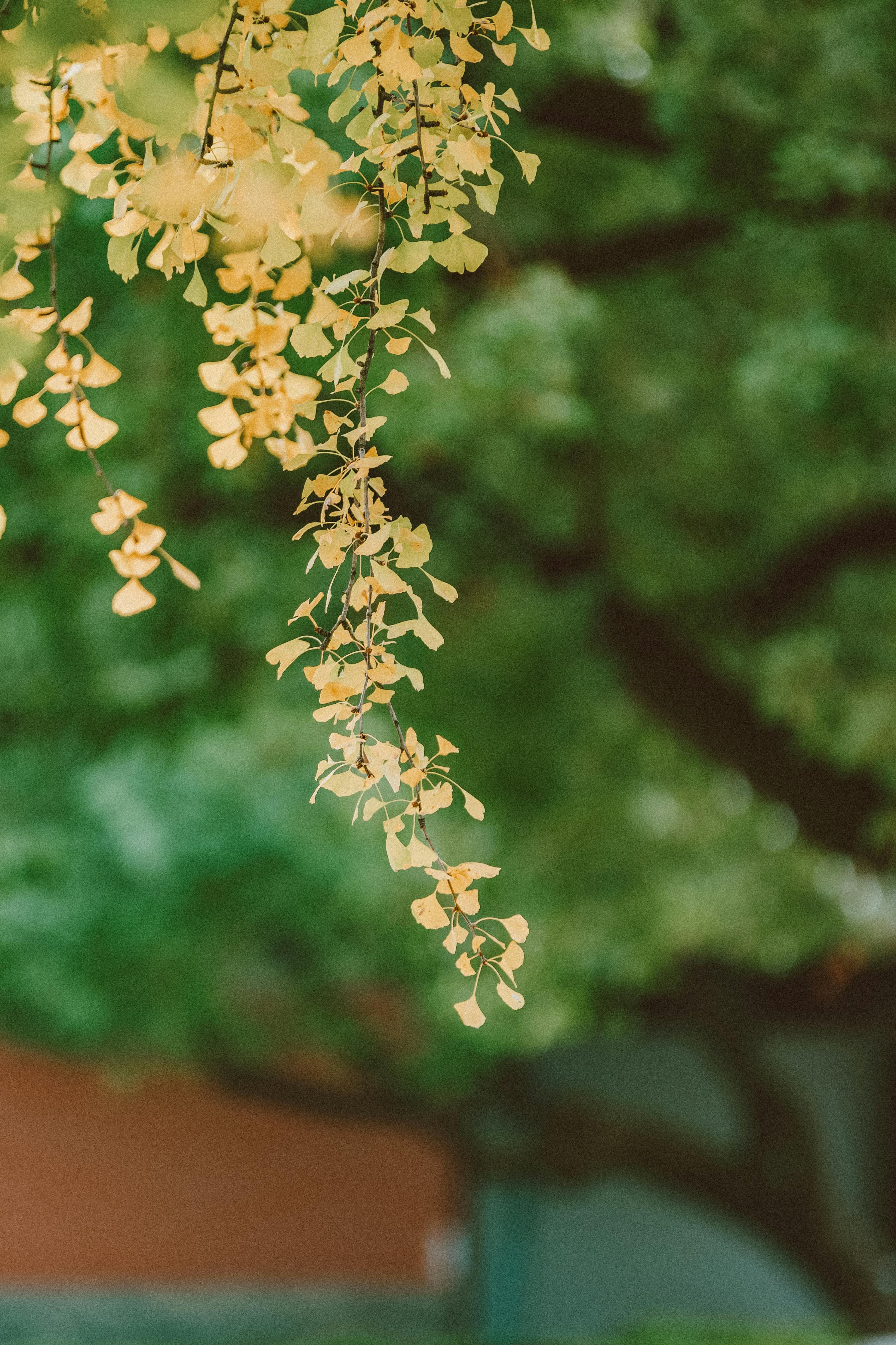 El Hombre Que Se Convirtió En Un Hombre · Foto de stock gratuita