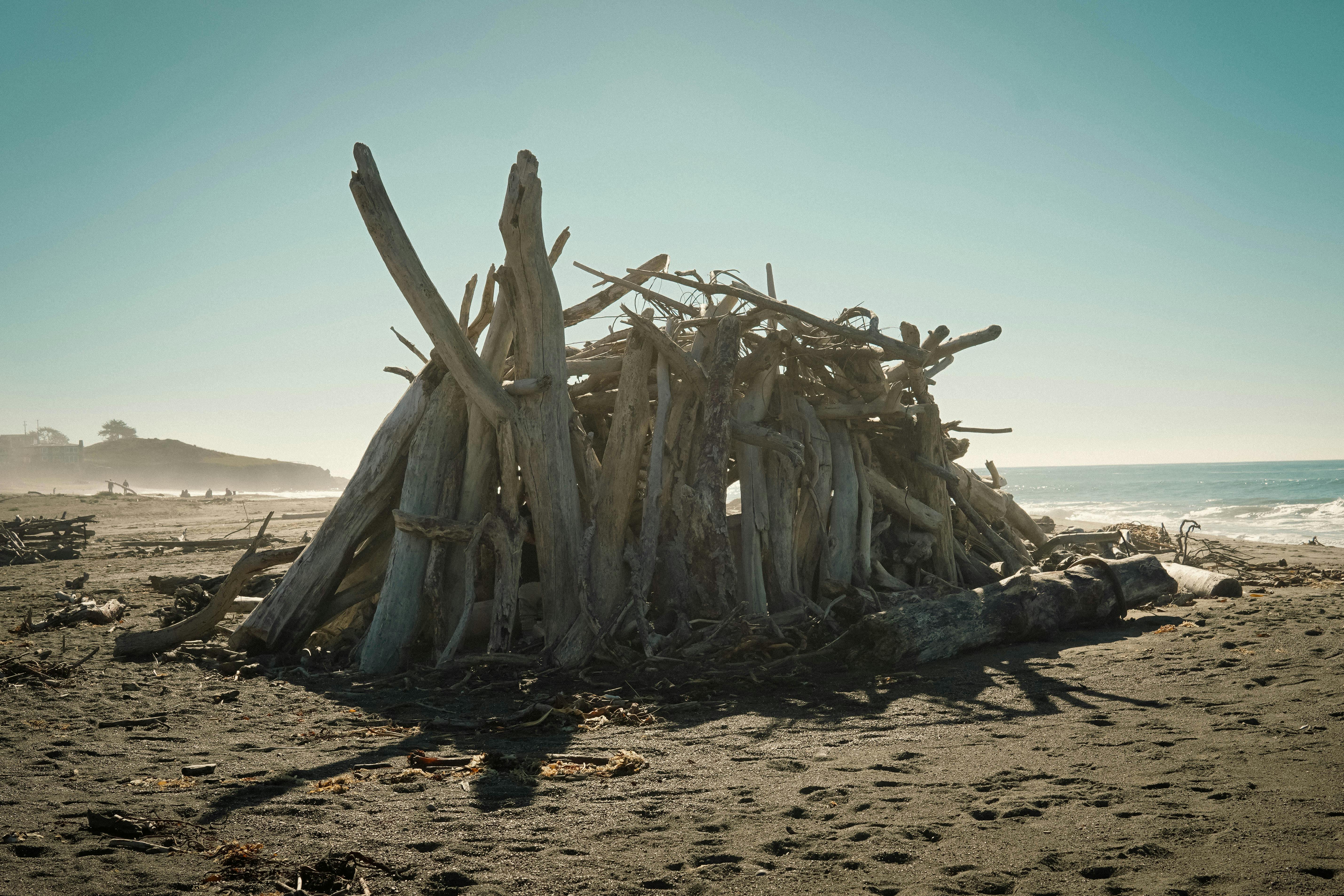 Driftwood Structure on Cambria Beach in California · Free Stock Photo