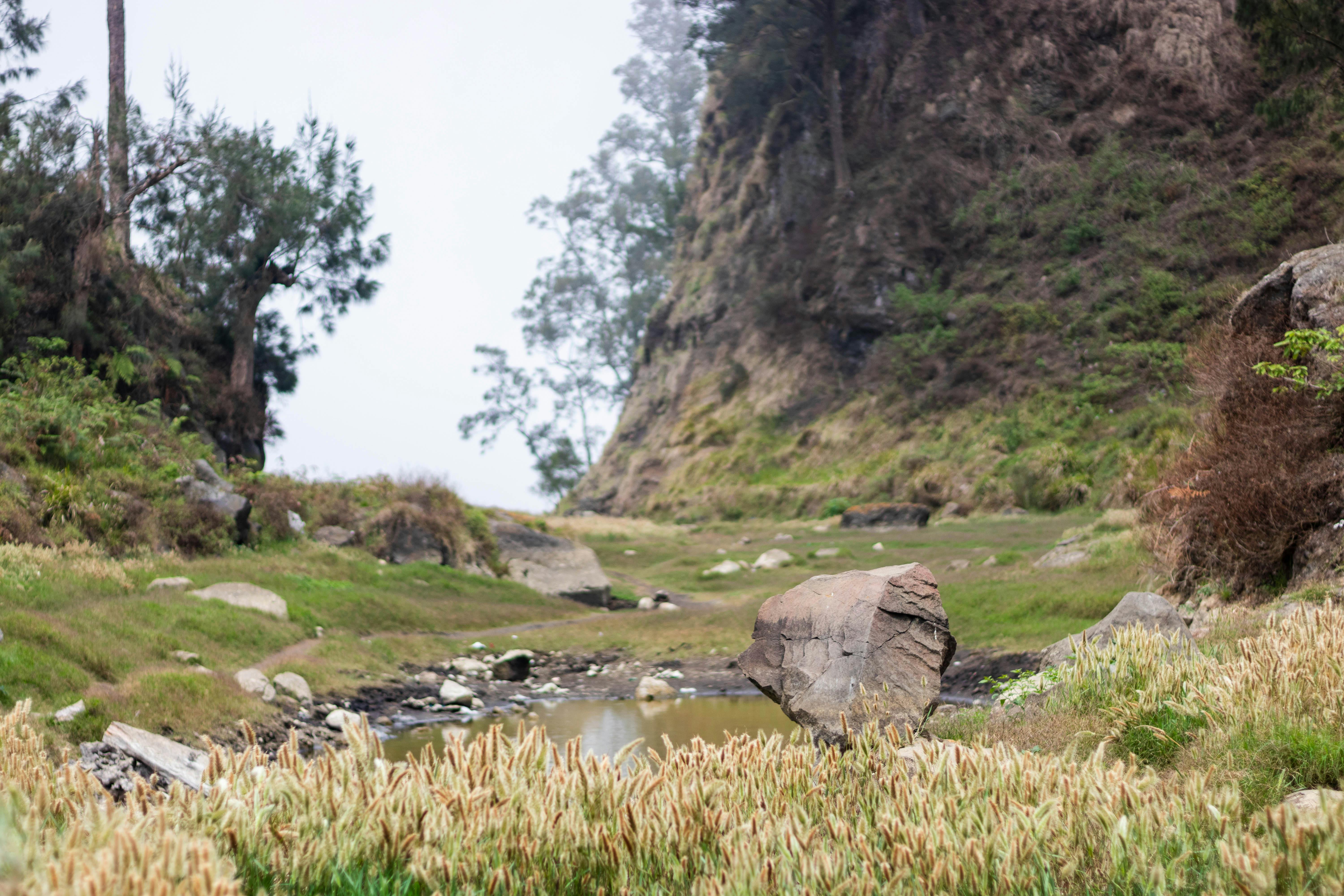 Scenic Hiking Trail in Lombok, Indonesia · Free Stock Photo