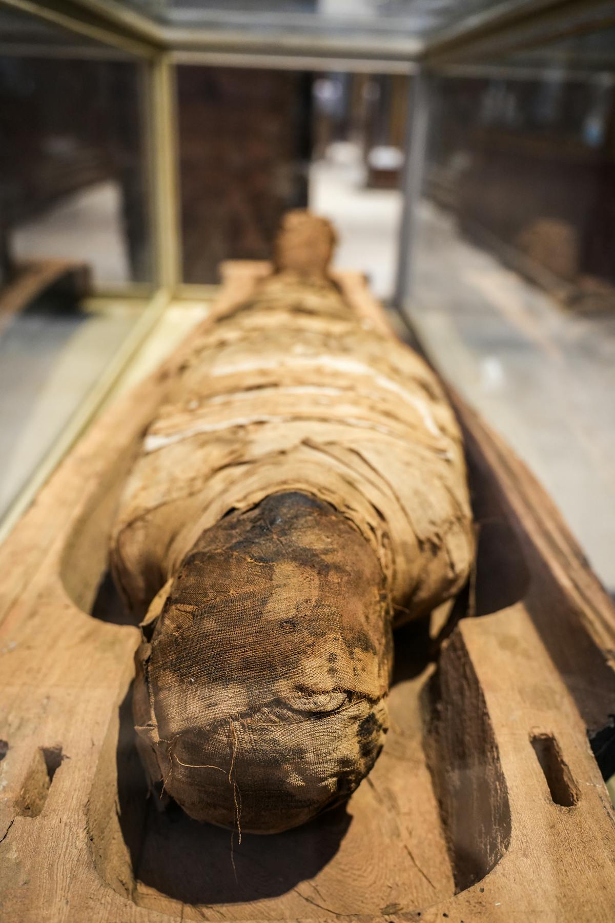 4k Egypt Mummy Photos, Download The BEST Free 4k Egypt Mummy Stock ...