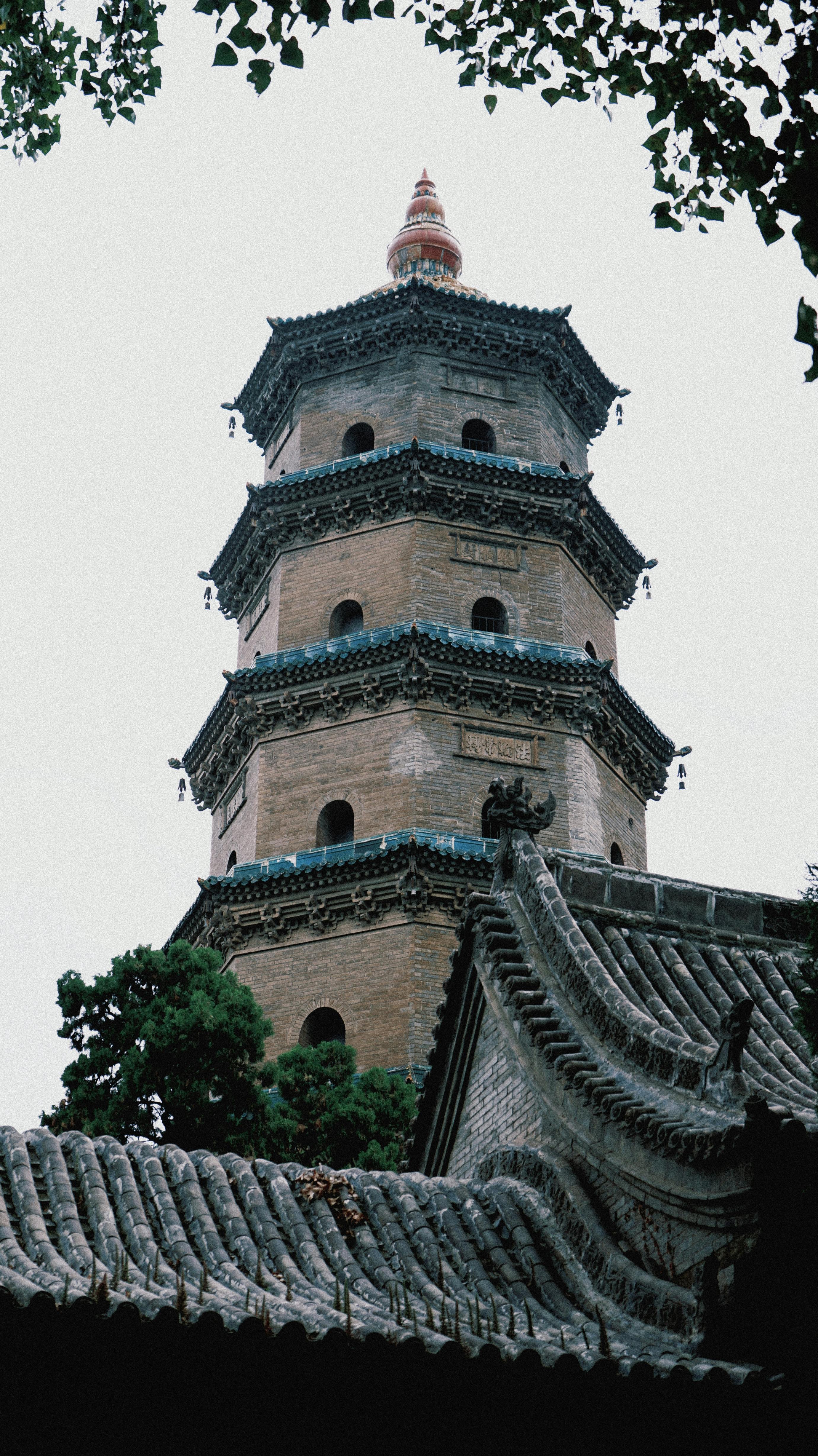 Xiaodong Zhang - 摄影