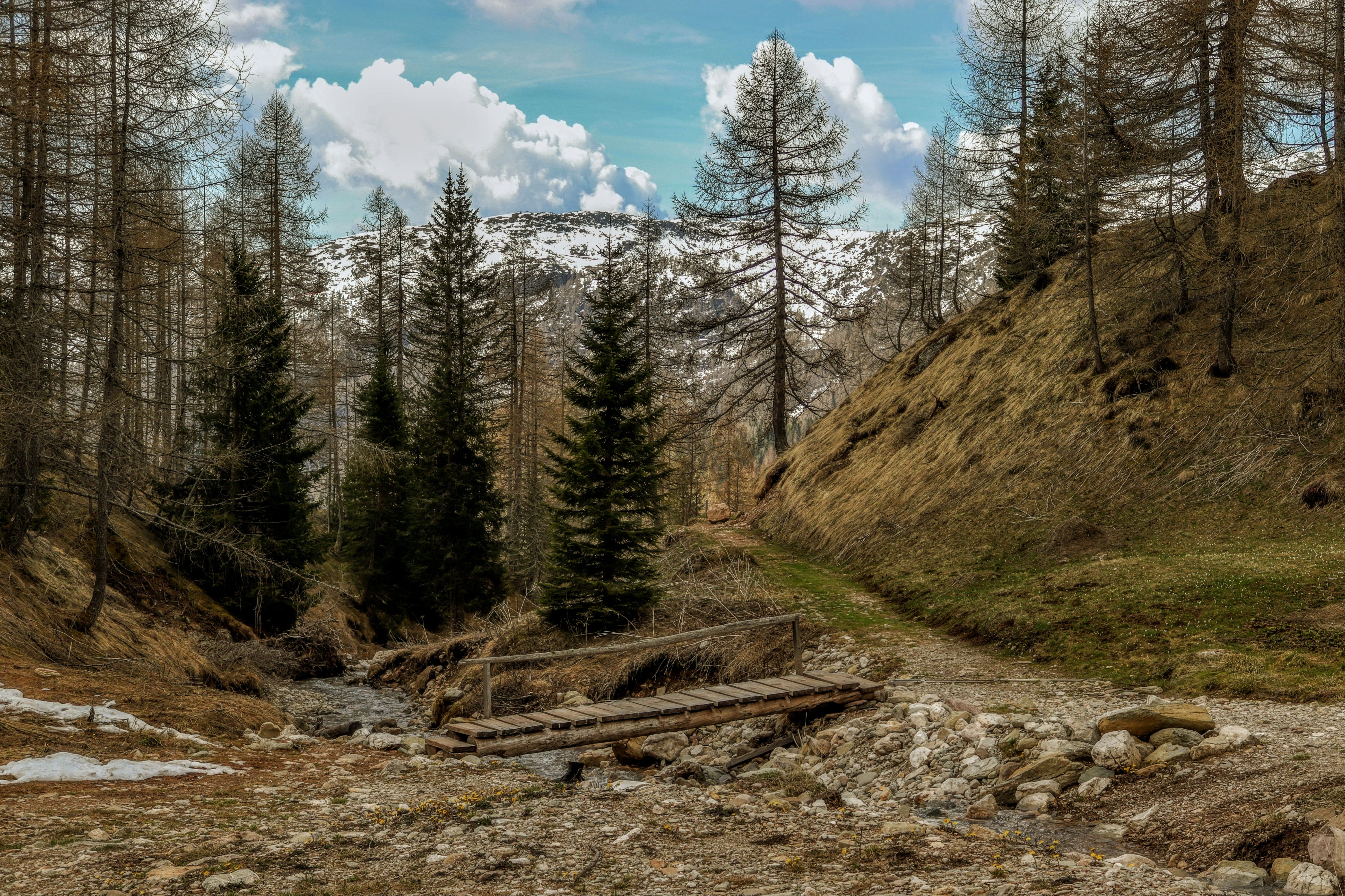 Rustic Mountain Path with Wooden Bridge · Free Stock Photo