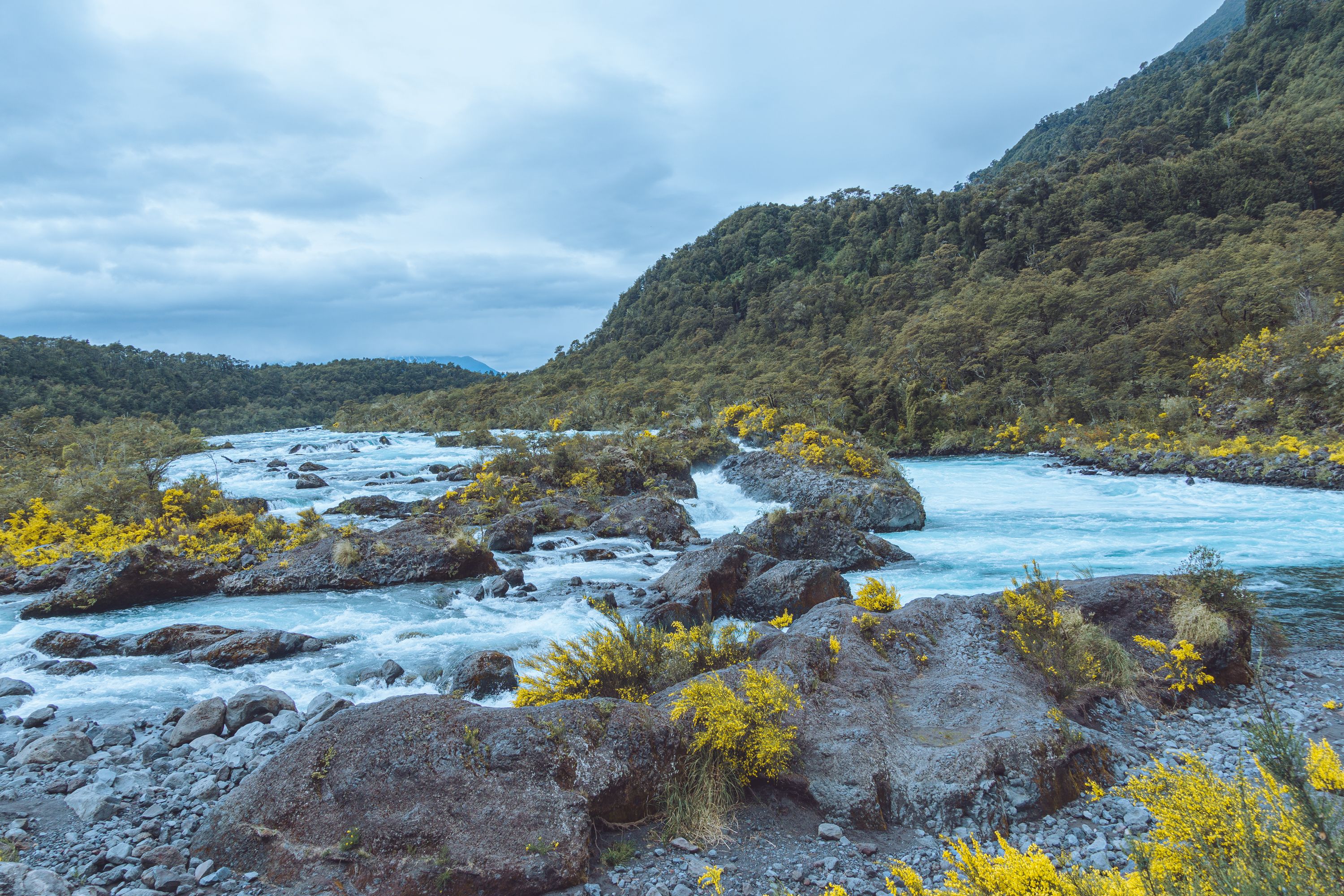 Scenic Petrohue River in Los Lagos Chile · Free Stock Photo