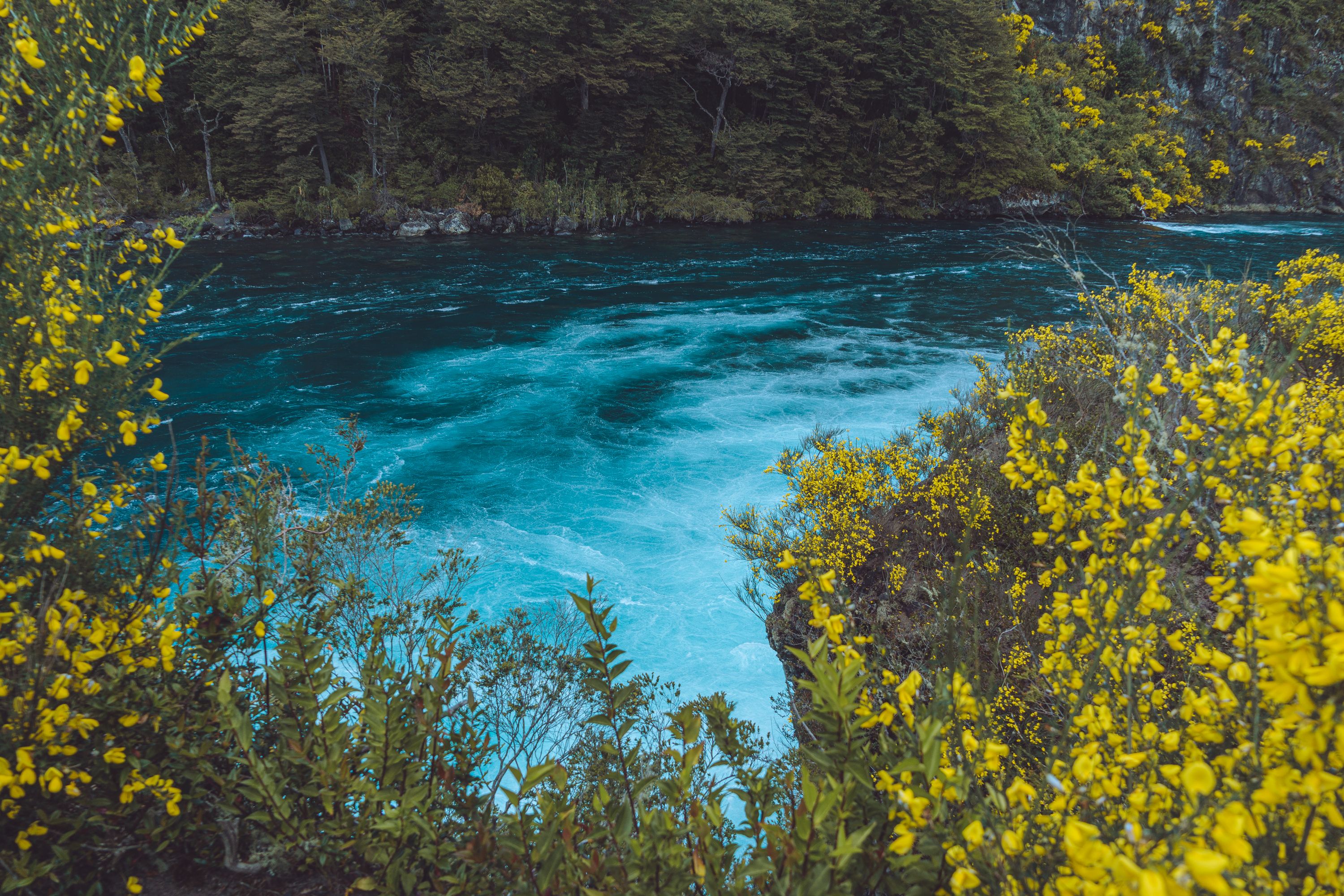 Pristine Waterfall and Lush Vegetation in Los Lagos Chile · Free Stock ...