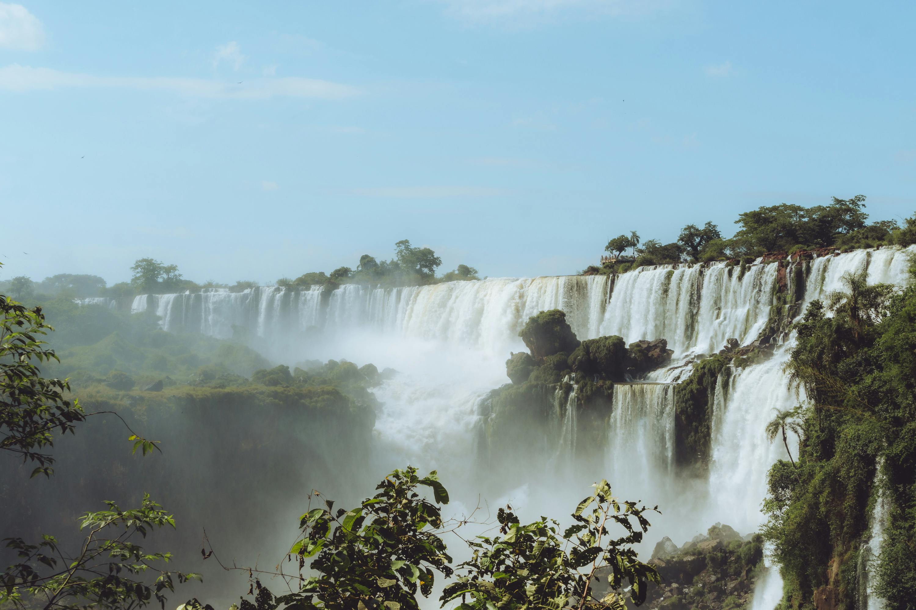 Rainforest Plateau Photos, Download The BEST Free Rainforest Plateau ...