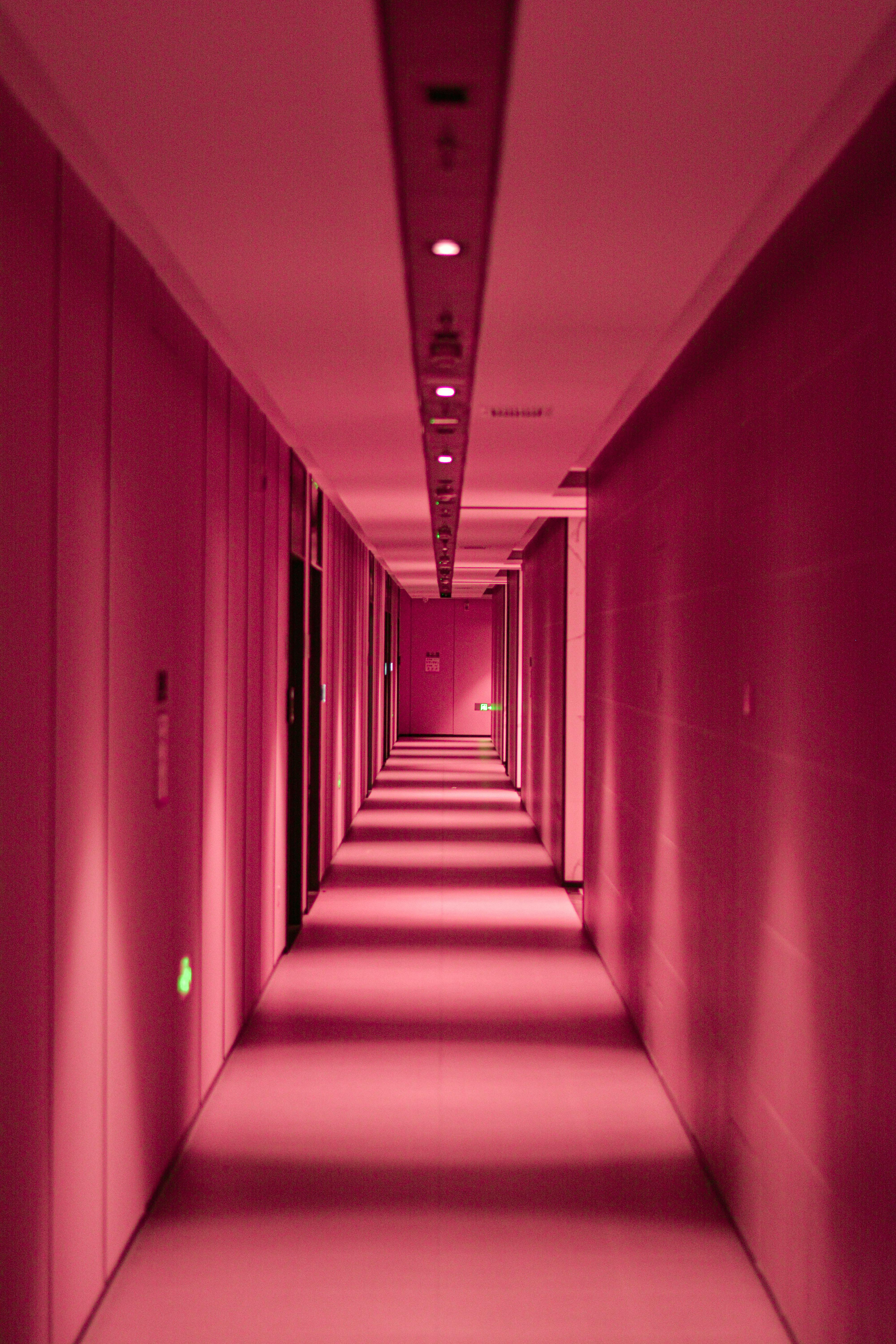 Moody Pink Corridor with Perspective Depth · Free Stock Photo