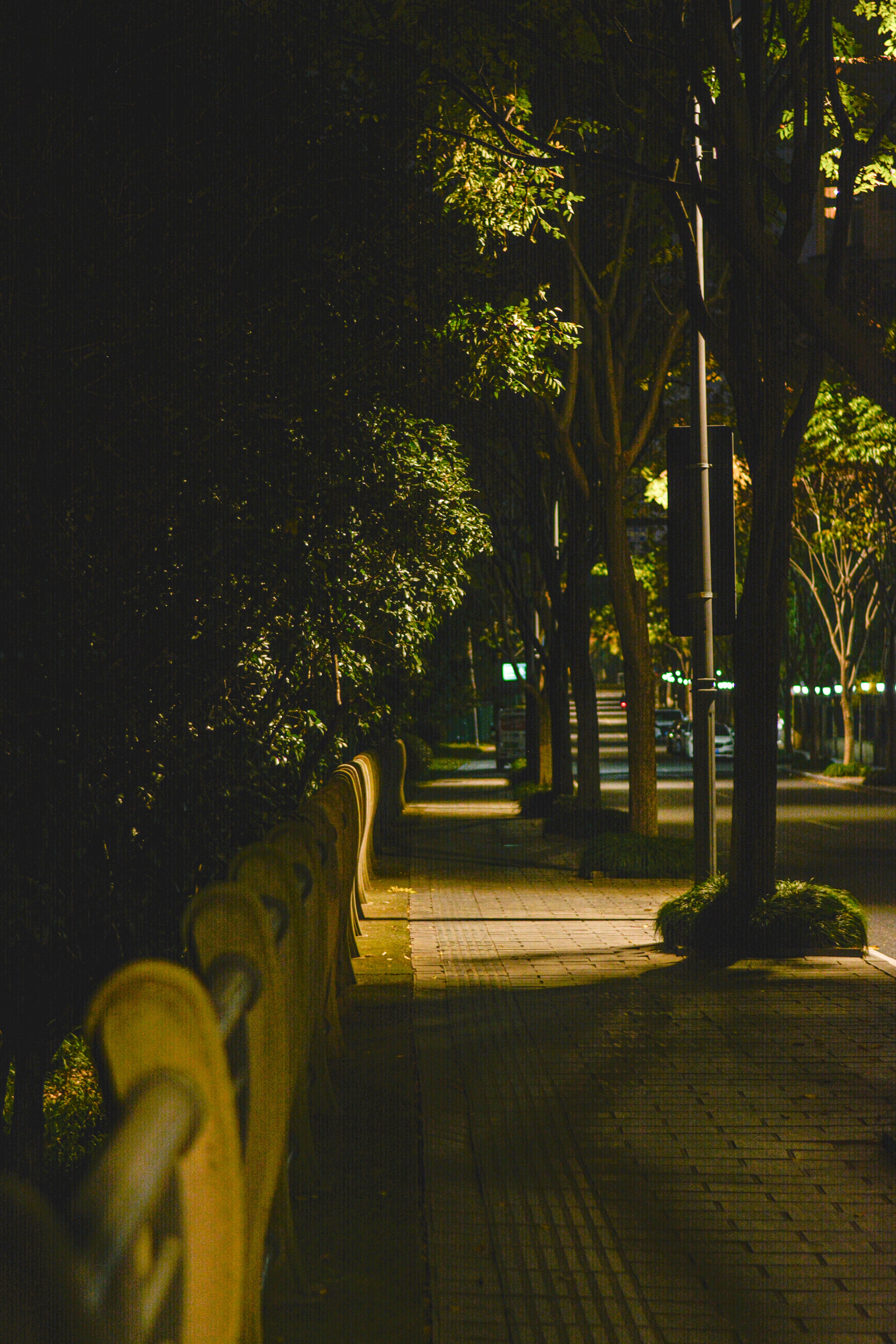 Peaceful urban street surrounded by night shadows · Free Stock Photo