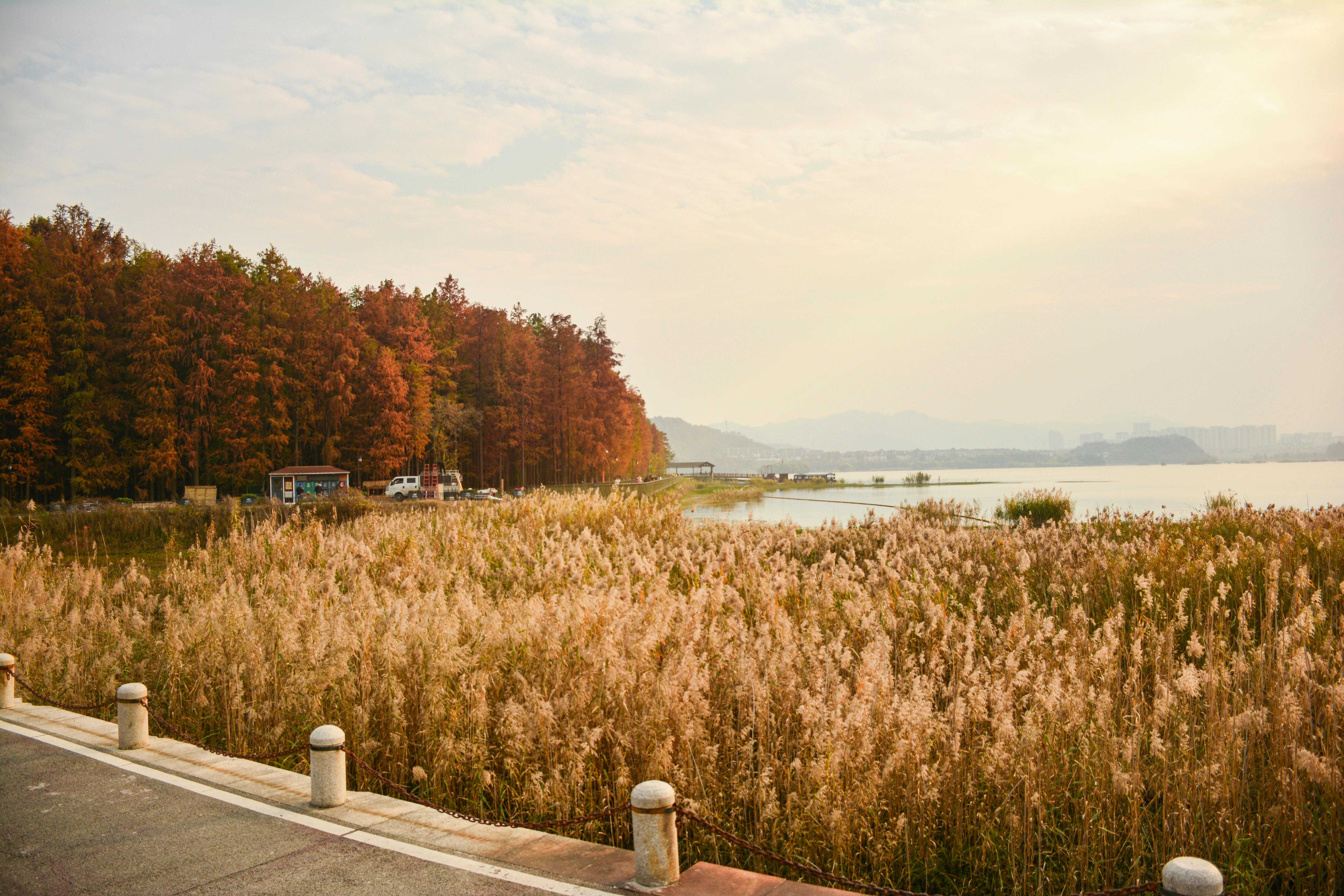 El Hombre Que Se Convirtió En Un Hombre Fuerte · Foto de stock gratuita