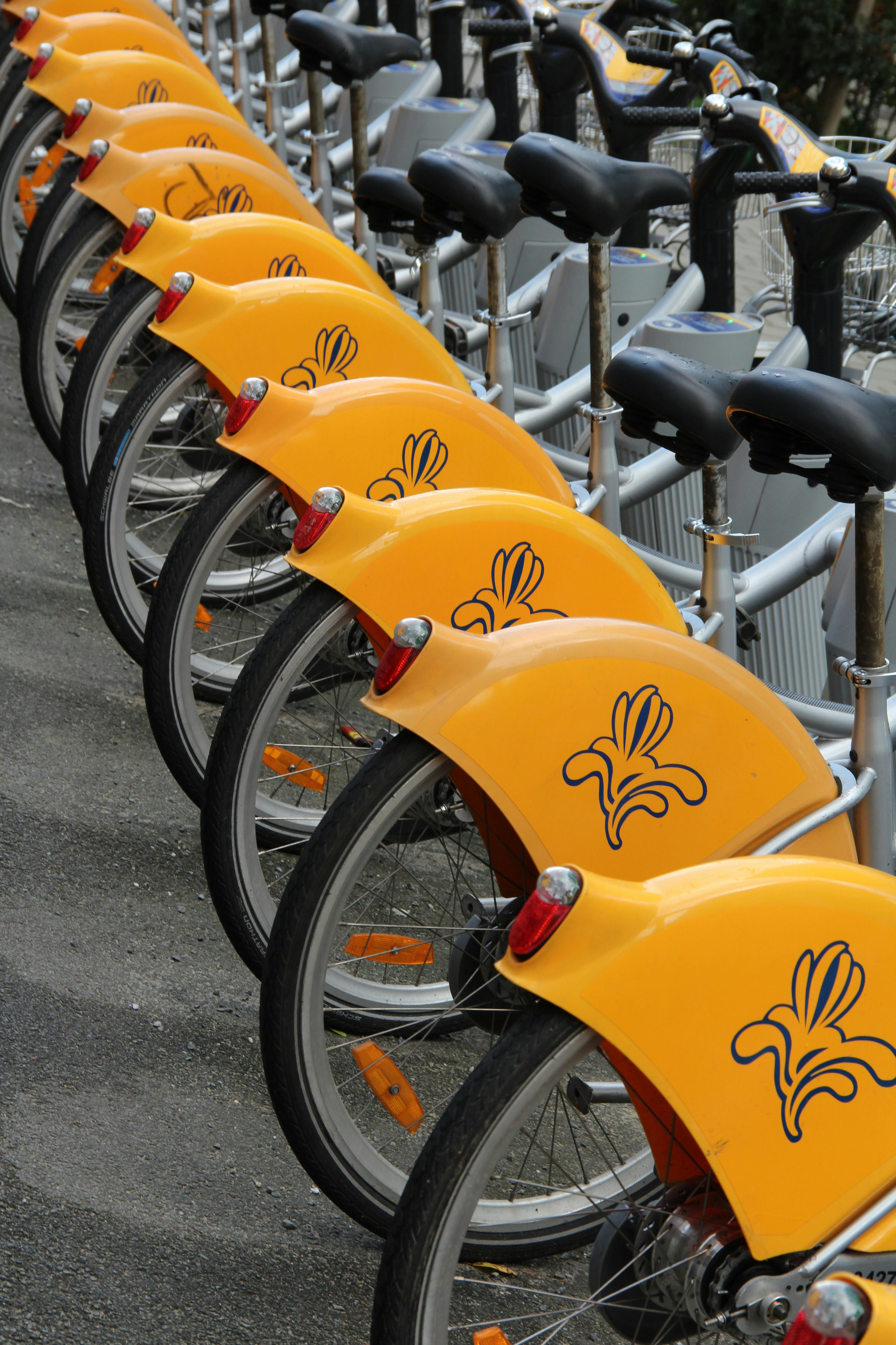 Row of Yellow Rental Bicycles in Urban Setting · Free Stock Photo