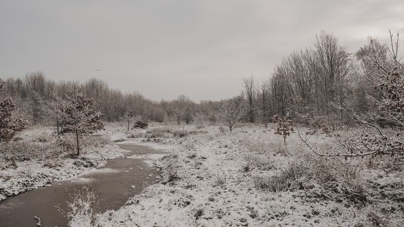 Snow Landscape Photos, Download The BEST Free Snow Landscape Stock ...