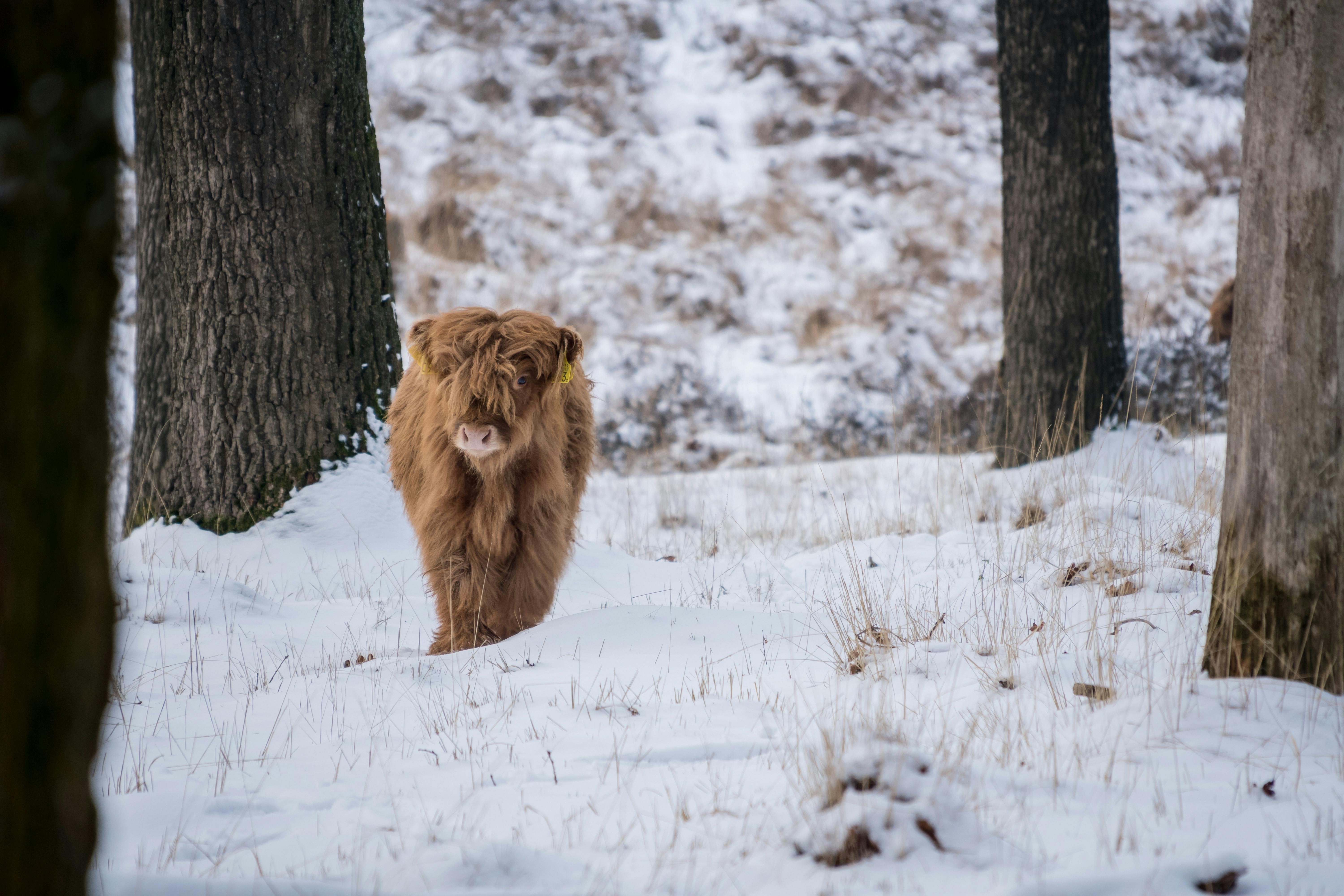 Manila Pure Photos, Download The BEST Free Manila Pure Stock Photos ...