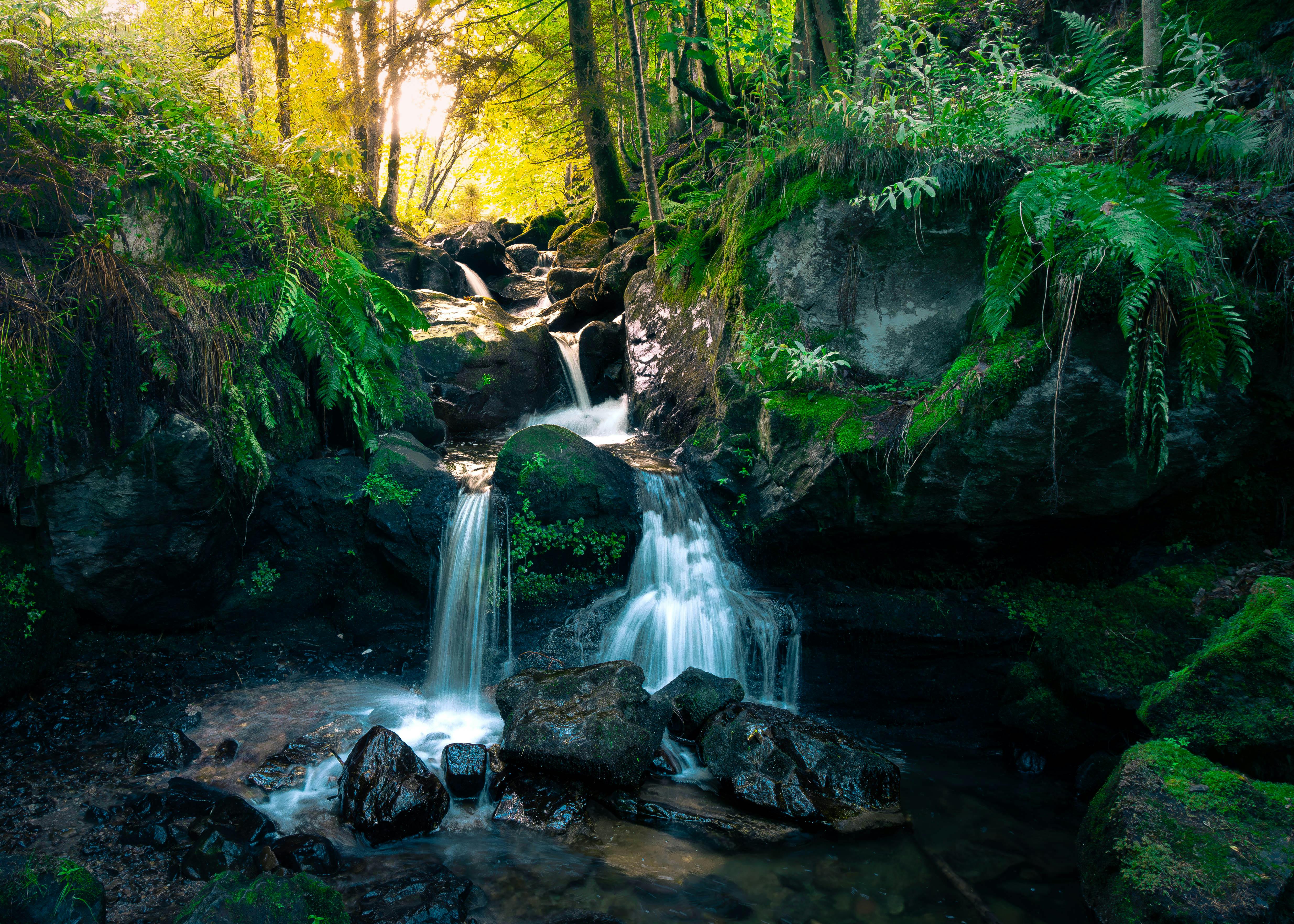 Foto de stock gratuita sobre agua dulce, agua en cascada, al aire libre ...