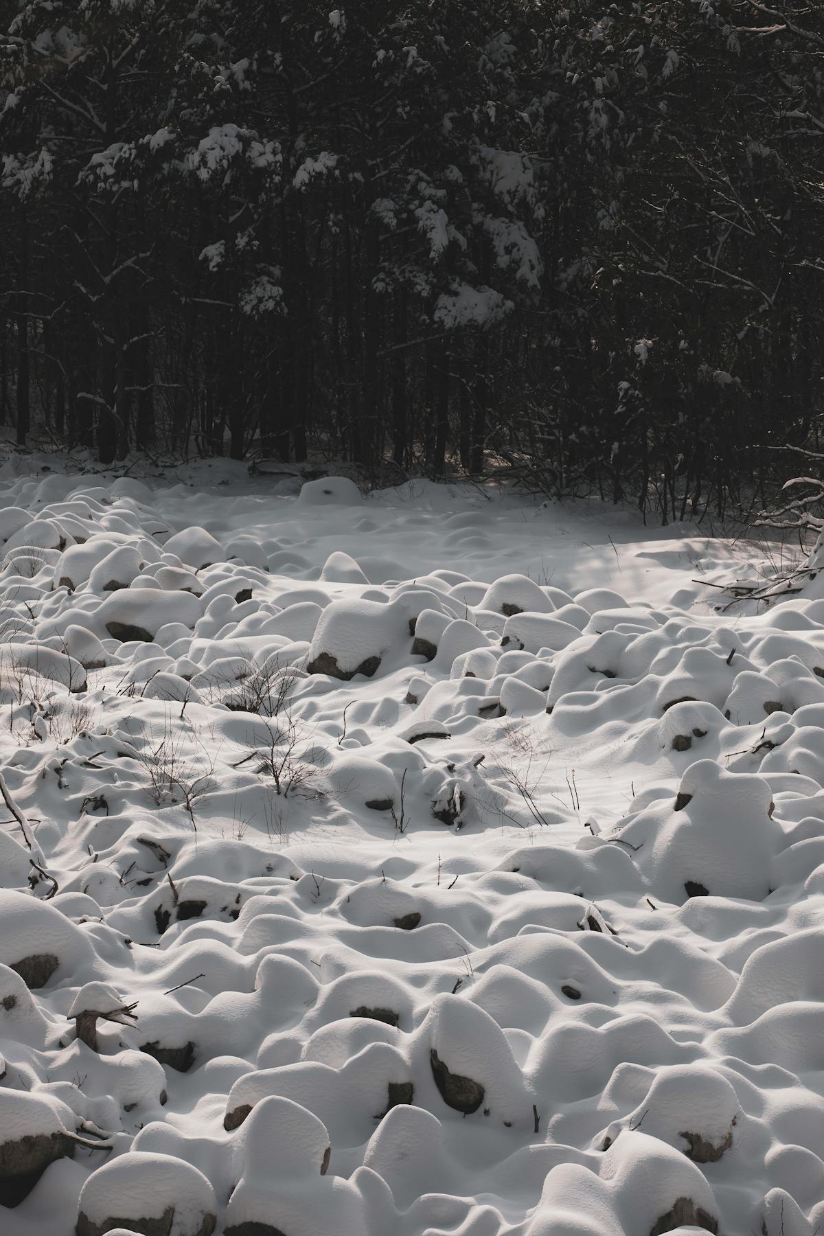 Winter Snow Landscape Photos, Download The BEST Free Winter Snow ...